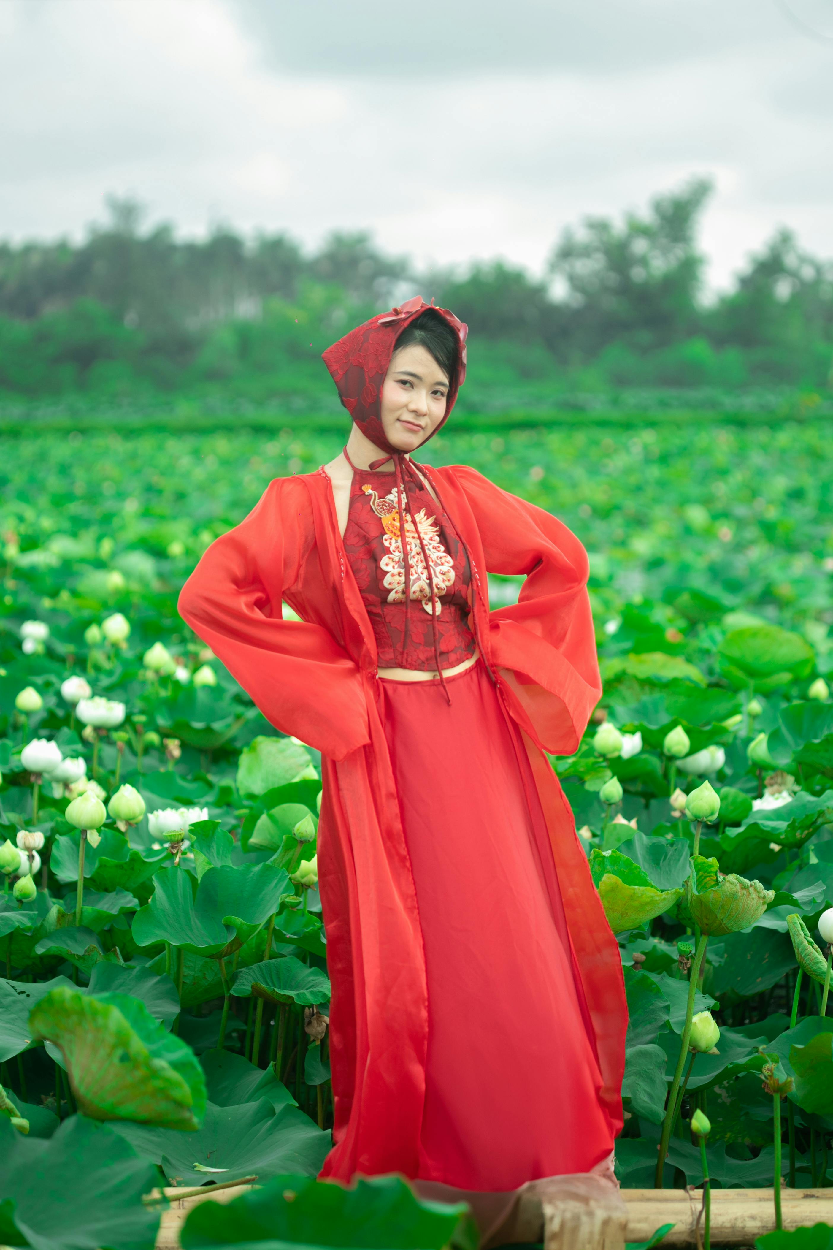 Backgrounds Việt Nam Photos, Download The BEST Free Backgrounds Việt ...