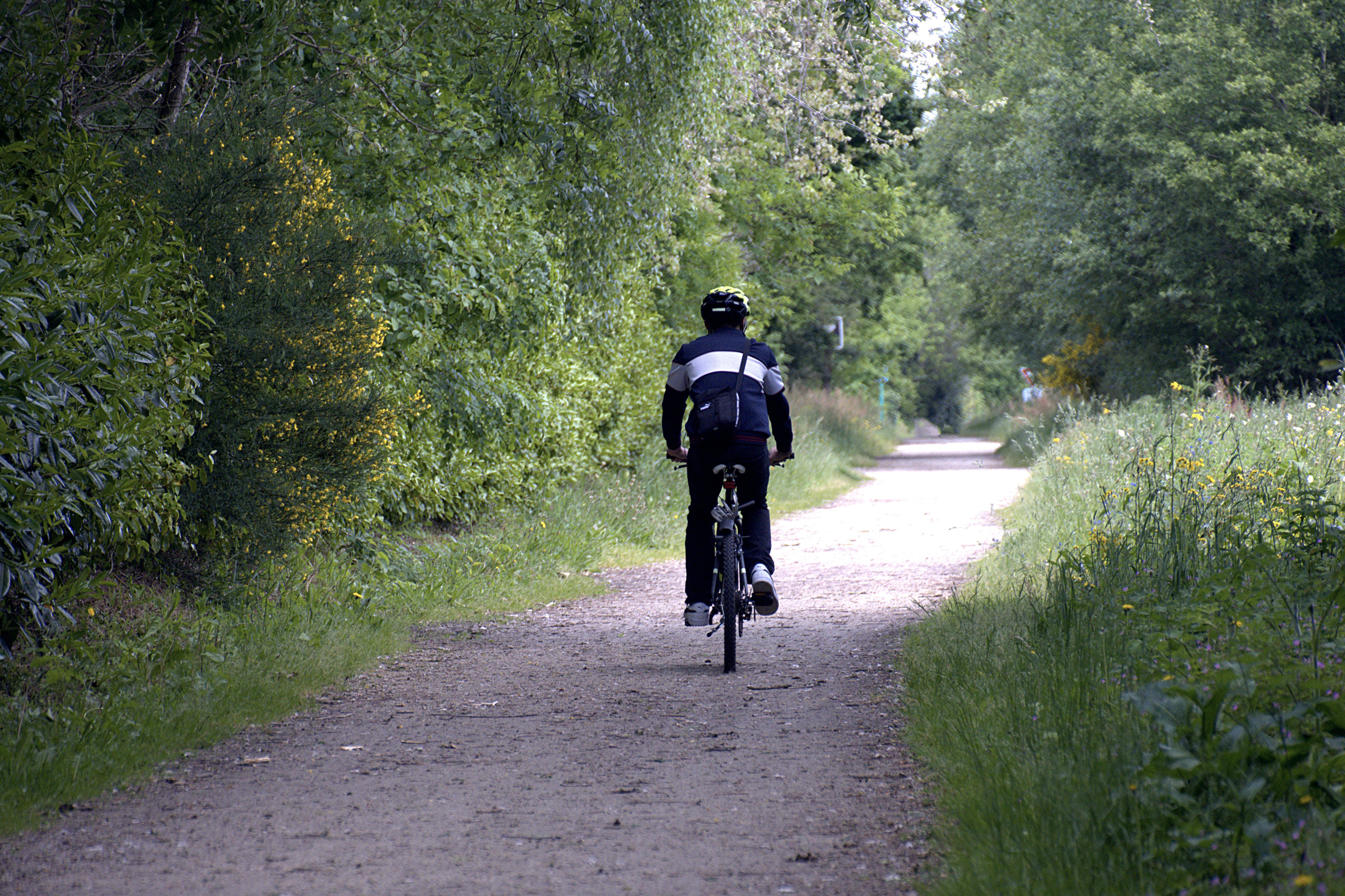 Dunedin Bike Trail Photos, Download The BEST Free Dunedin Bike Trail ...