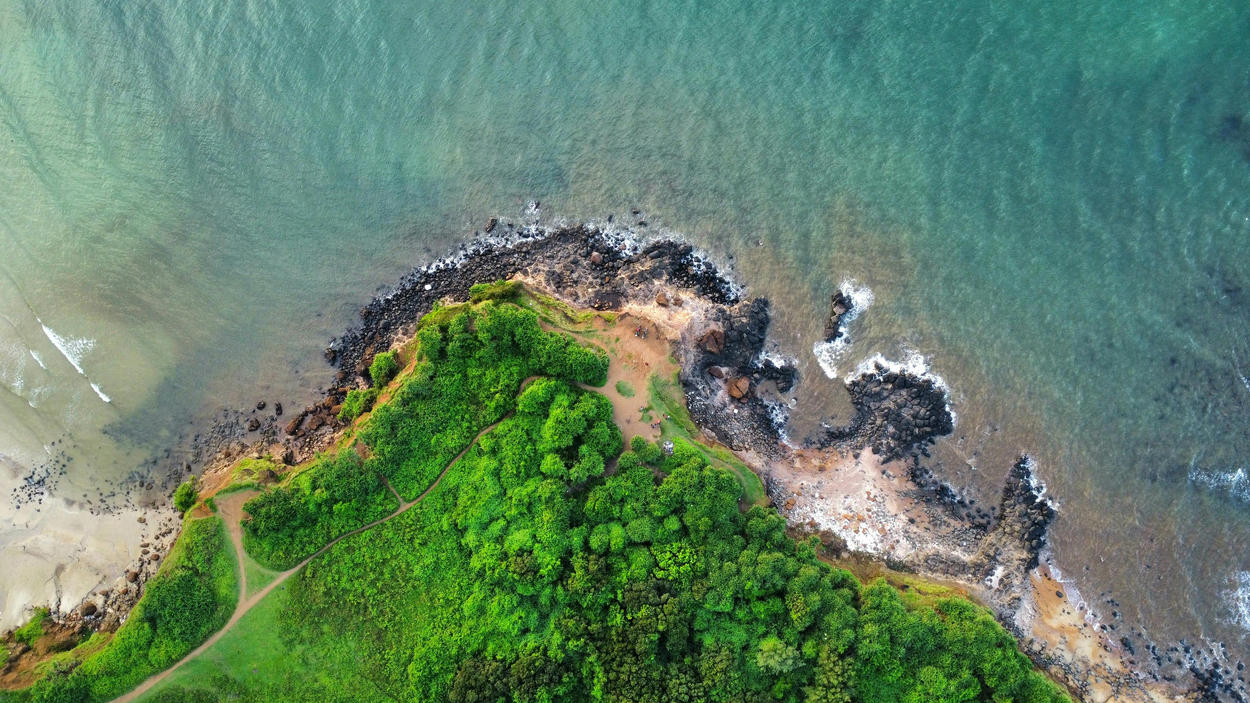 Aerial View of a Rocky Coastline with Lush Greenery · Free Stock Photo