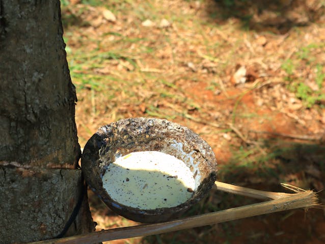 Mastering LaTeX in Google Doc: A Step-by-Step Guide