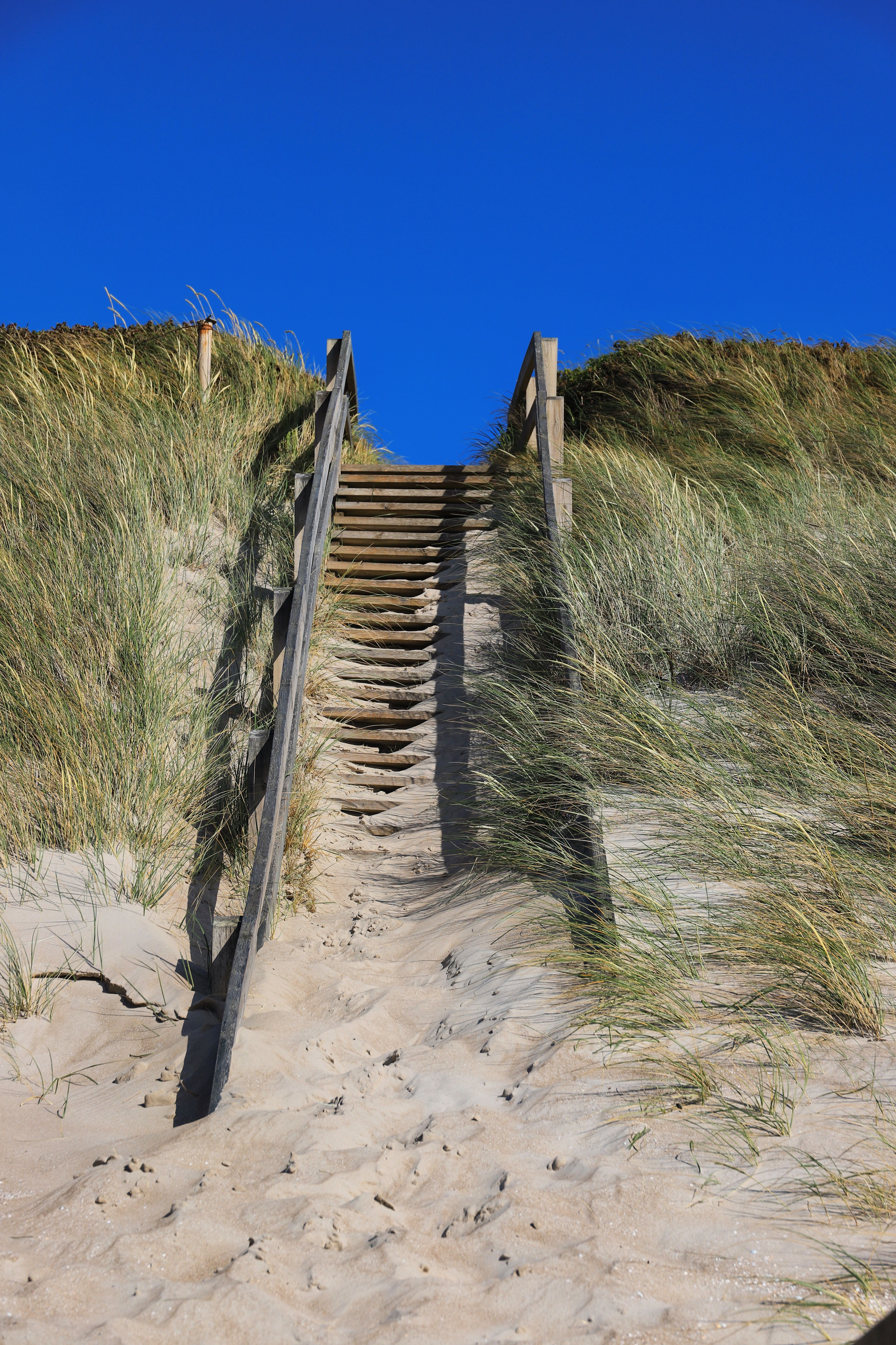 Wooden Stairs Leading Through Sandy Dunes · Free Stock Photo