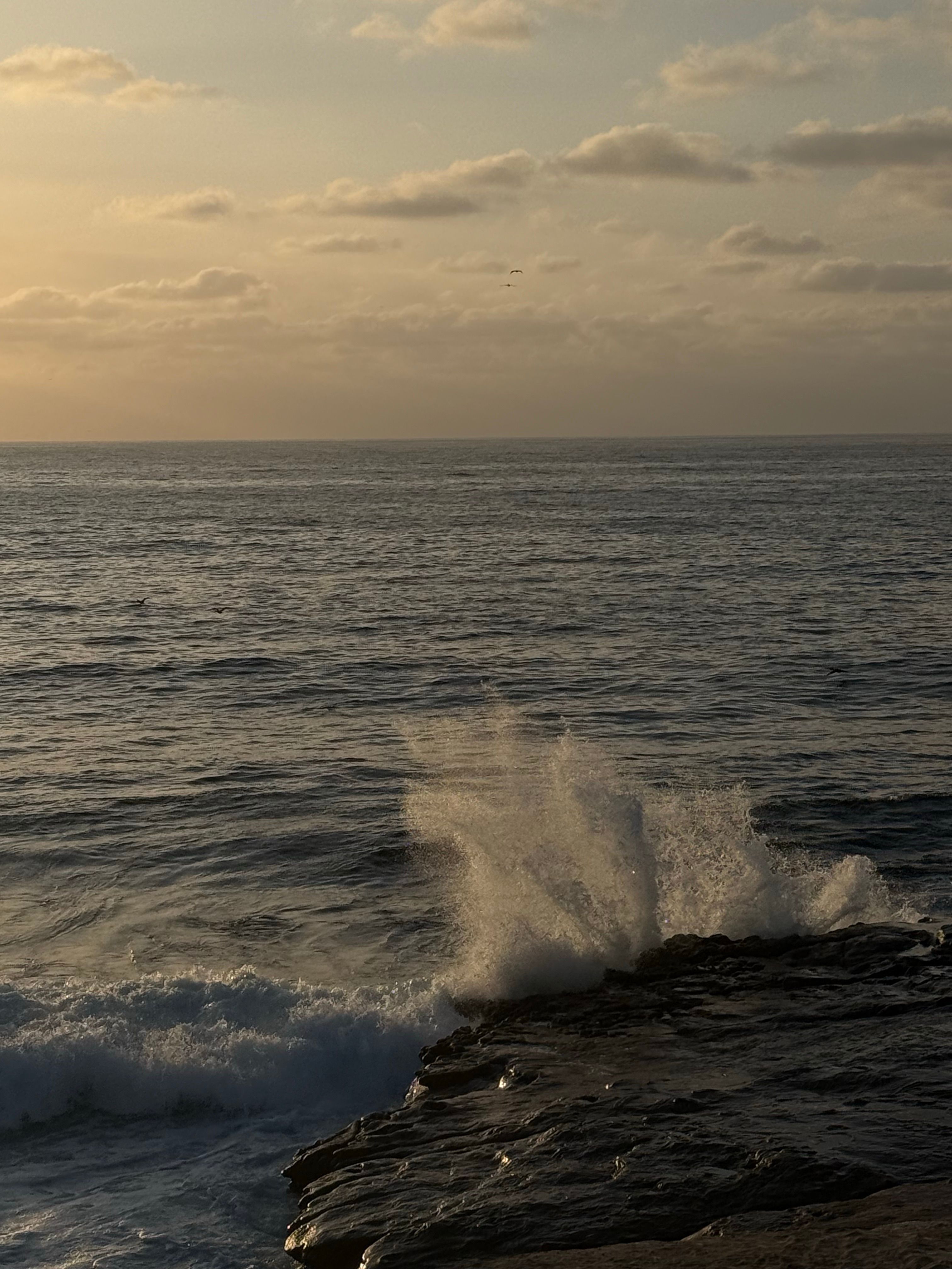 Ocean Waves Crashing at Sunset · Free Stock Photo