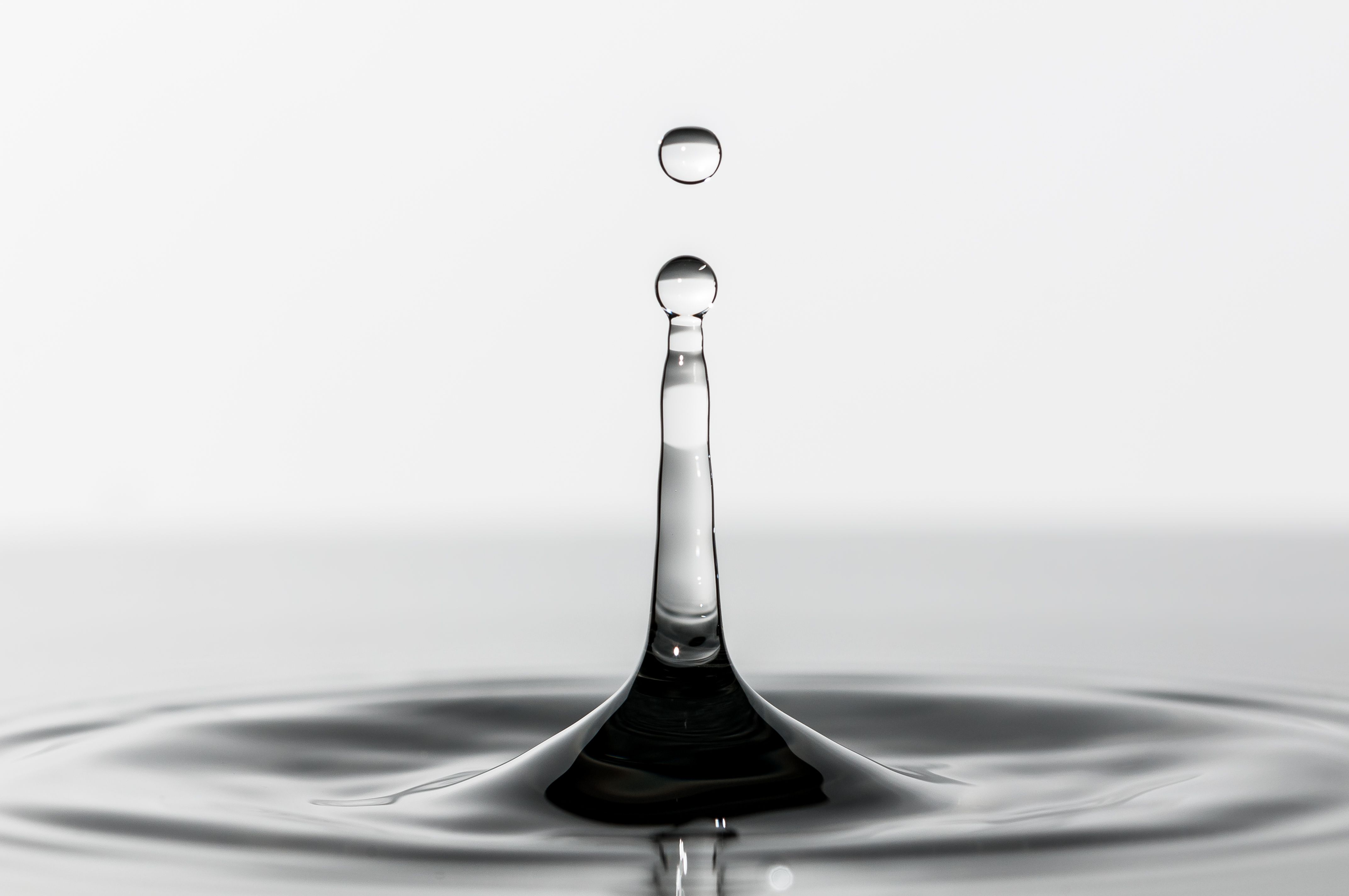 Water Drop No Background Photos, Download The BEST Free Water Drop No ...