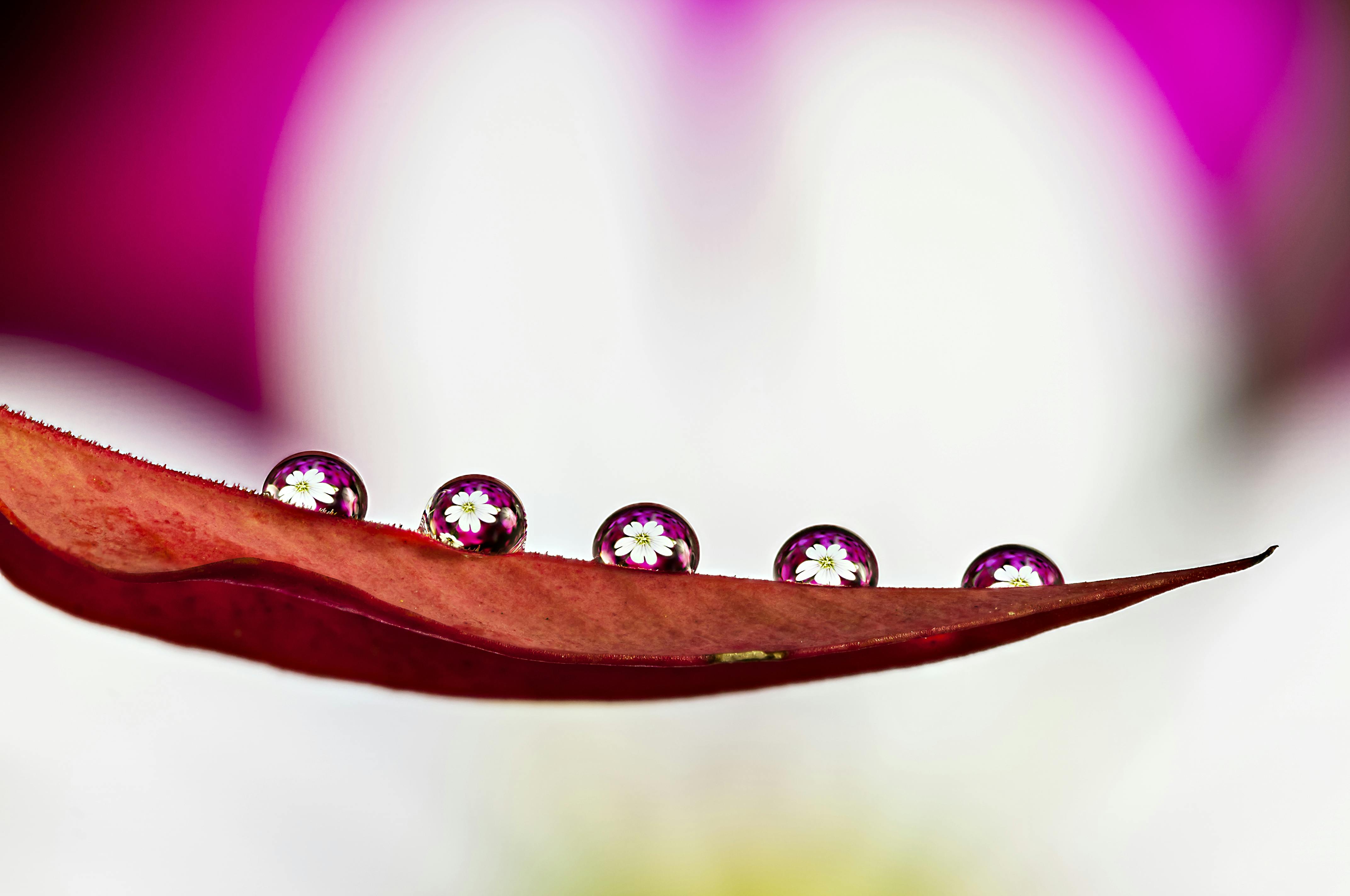 4k Surron Photos, Download The BEST Free 4k Surron Stock Photos & HD Images