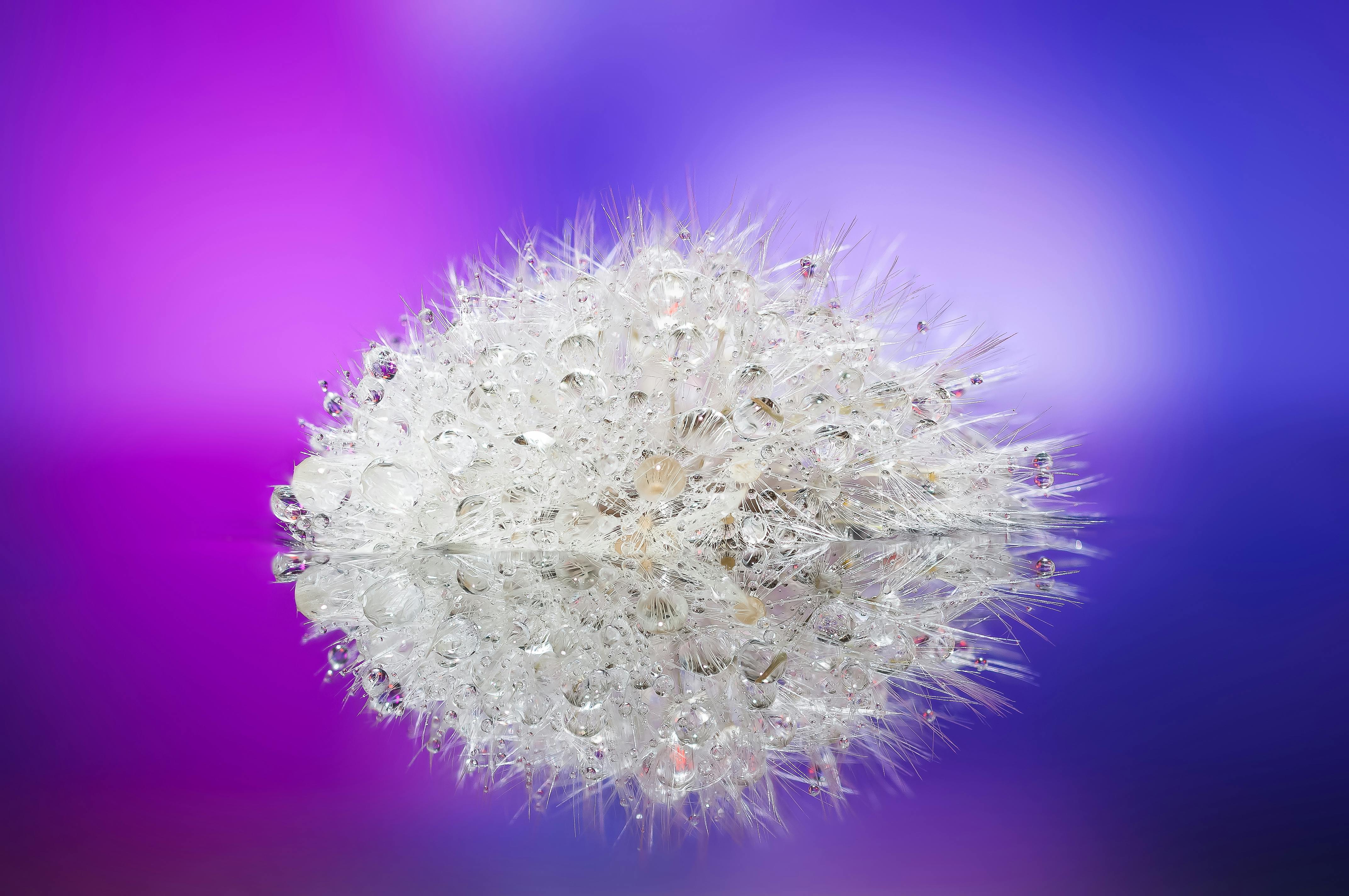 Congress Background Photos, Download The BEST Free Congress Background ...