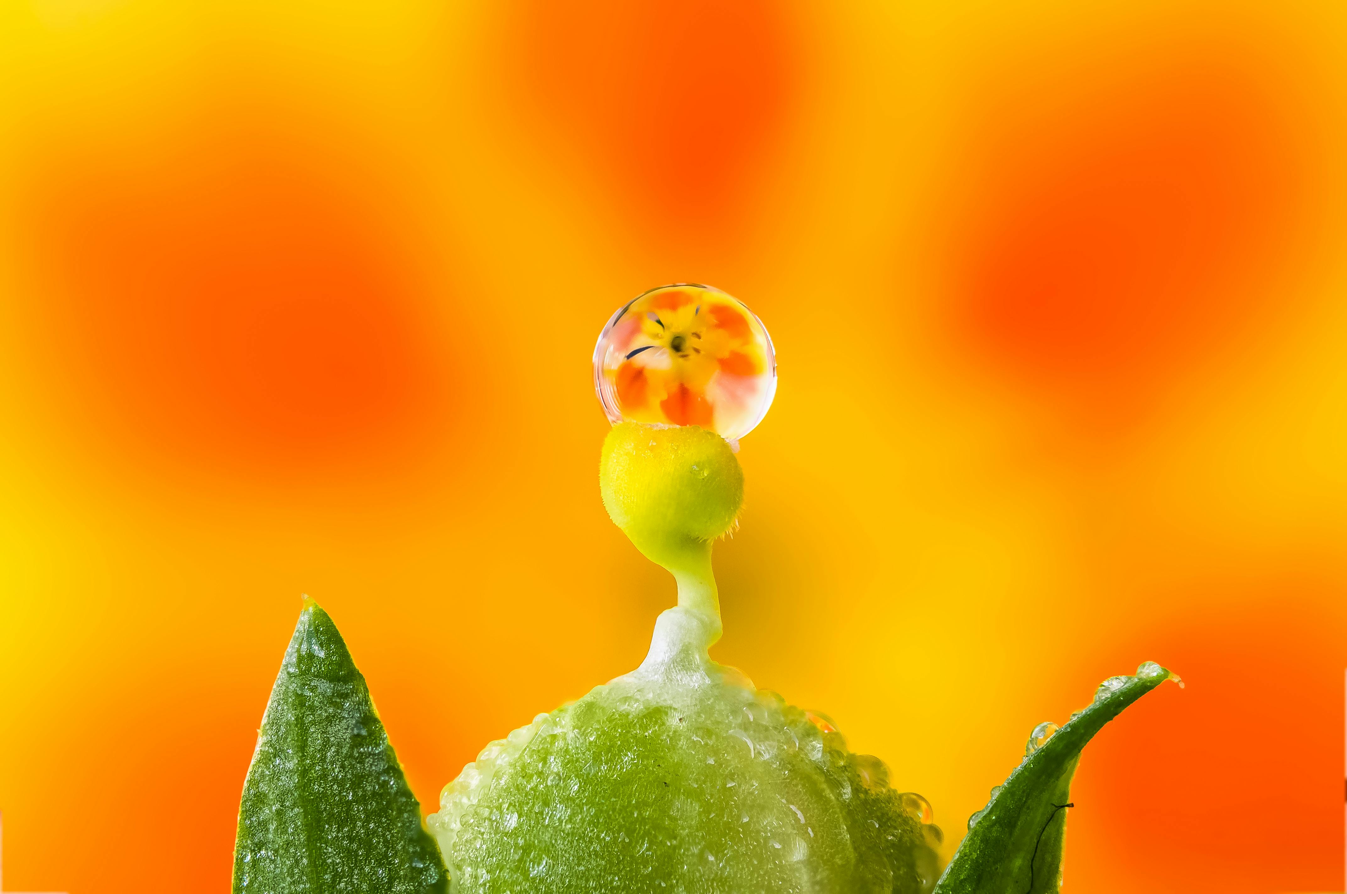 Sabse+Mote+Mote+Auraton+Ki+Nangi+Nangi+Hd+Bp Photos, Download The BEST ...