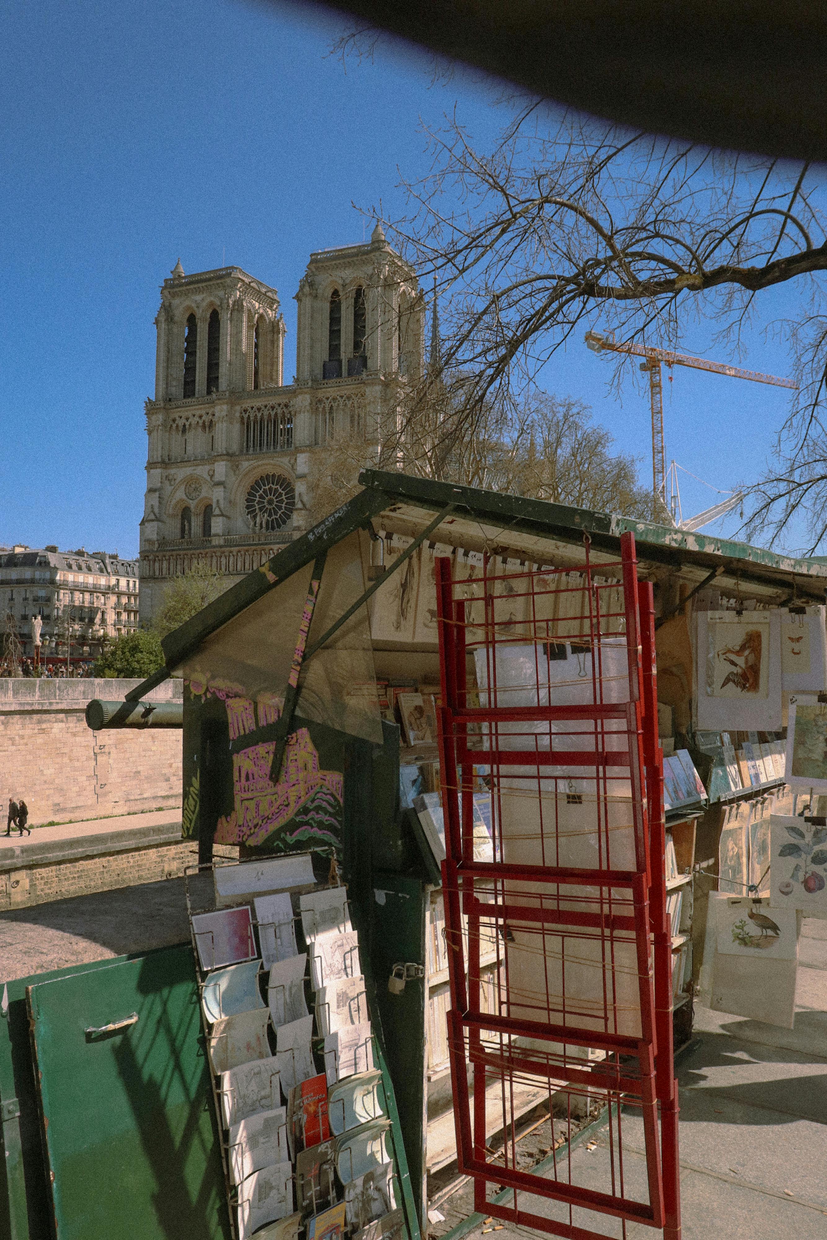 Céline | - Photography