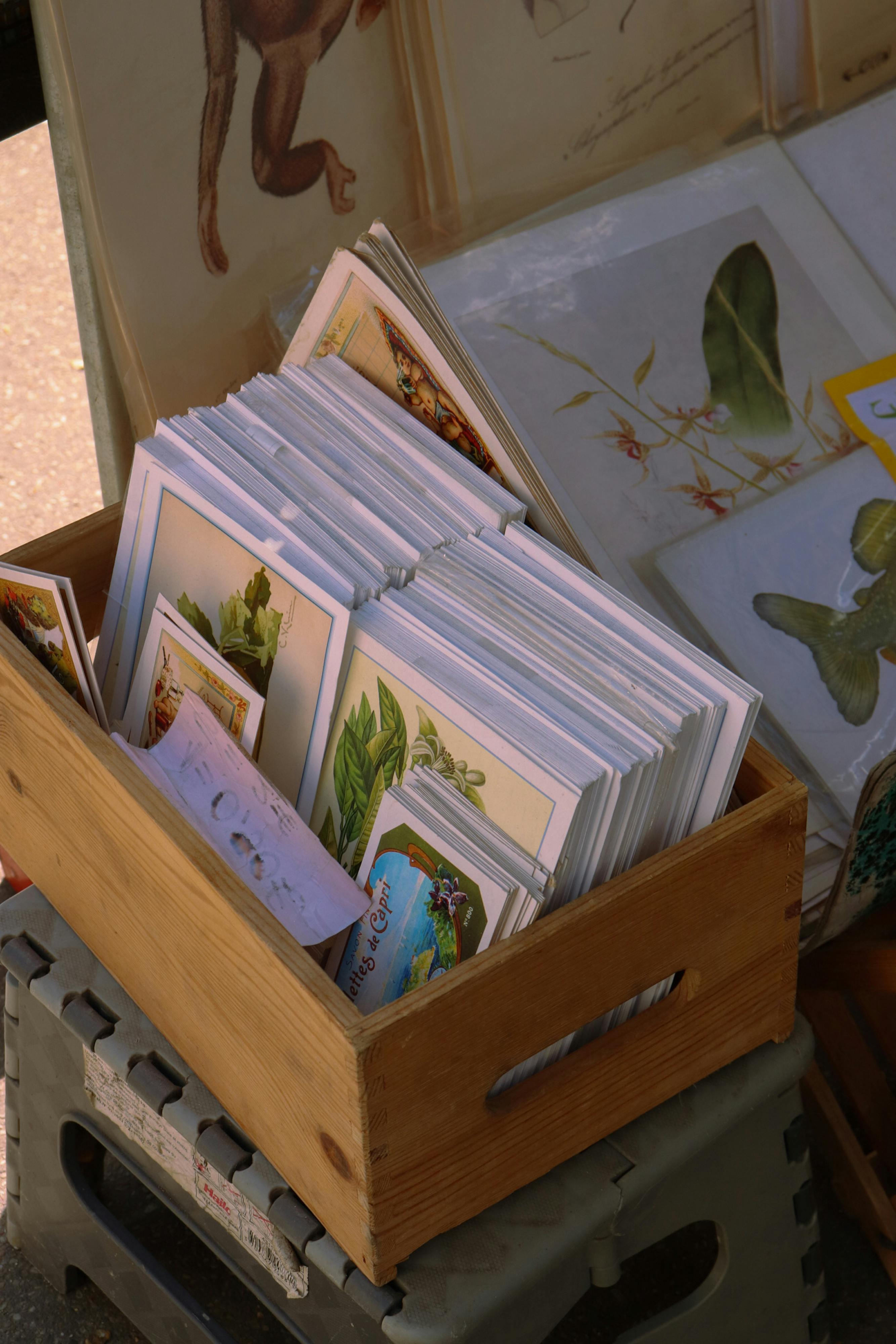 Céline | - Photography