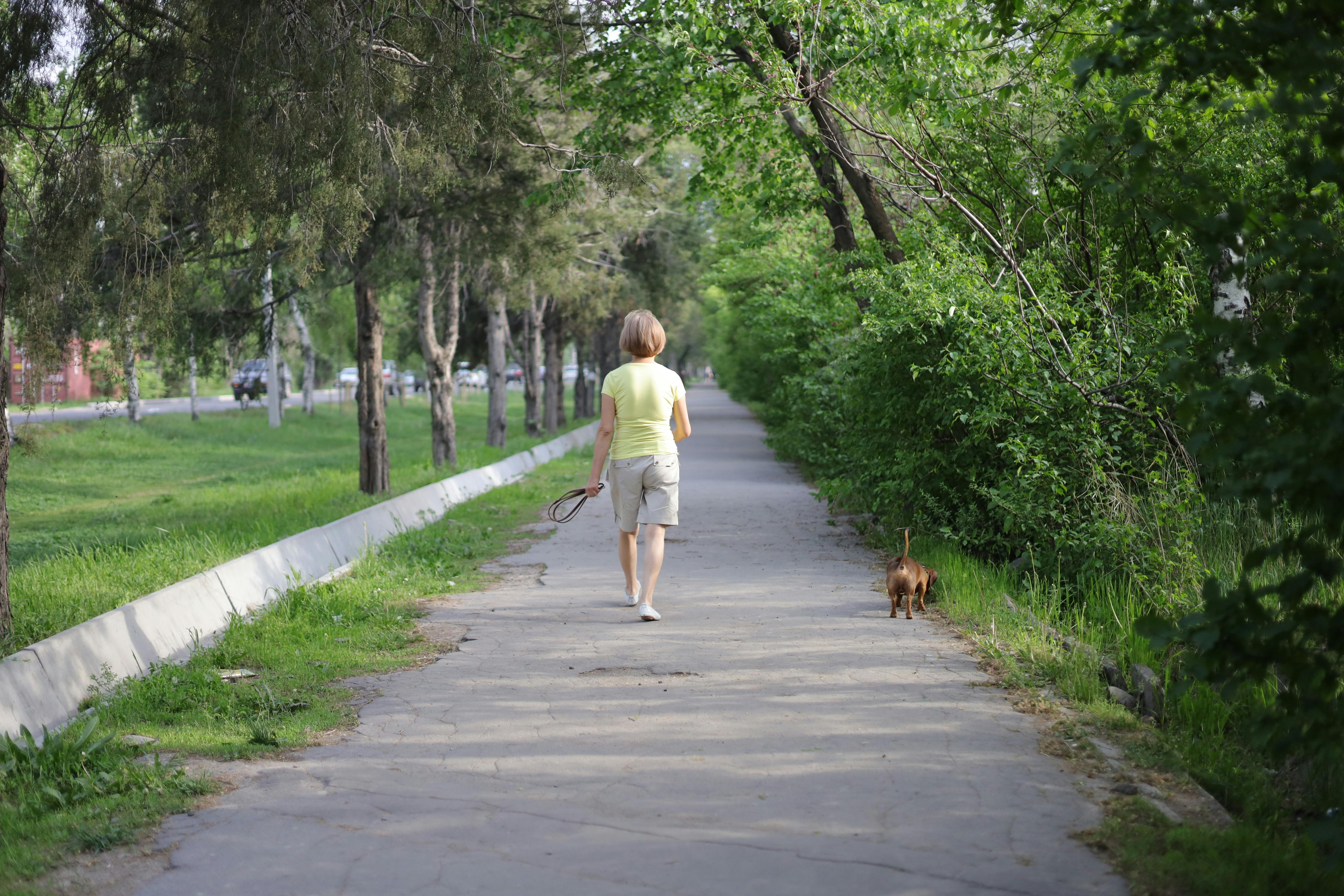 Una Mujer Pasea A Su Perro Por Un Tranquilo Sendero En Un Parque De ...