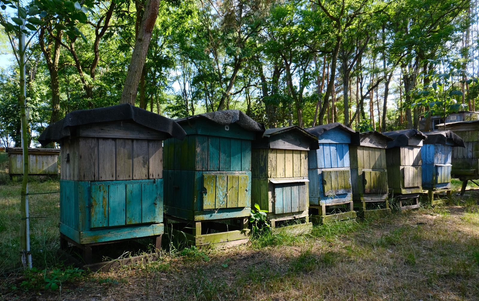 Beehive Photos, Download The BEST Free Beehive Stock Photos & HD Images