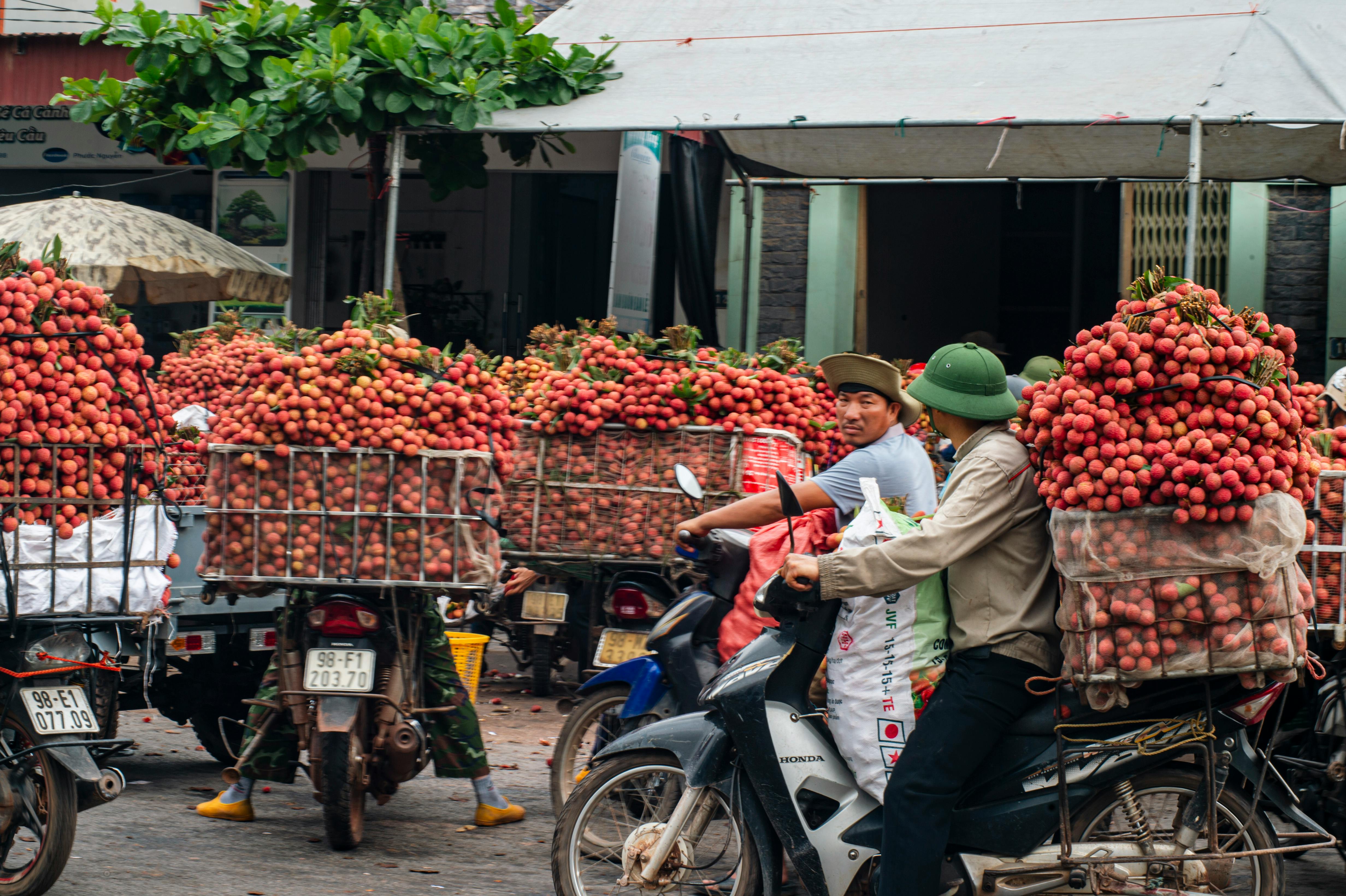 Indoor Fruit Packing Facility with Workers · Free Stock Photo
