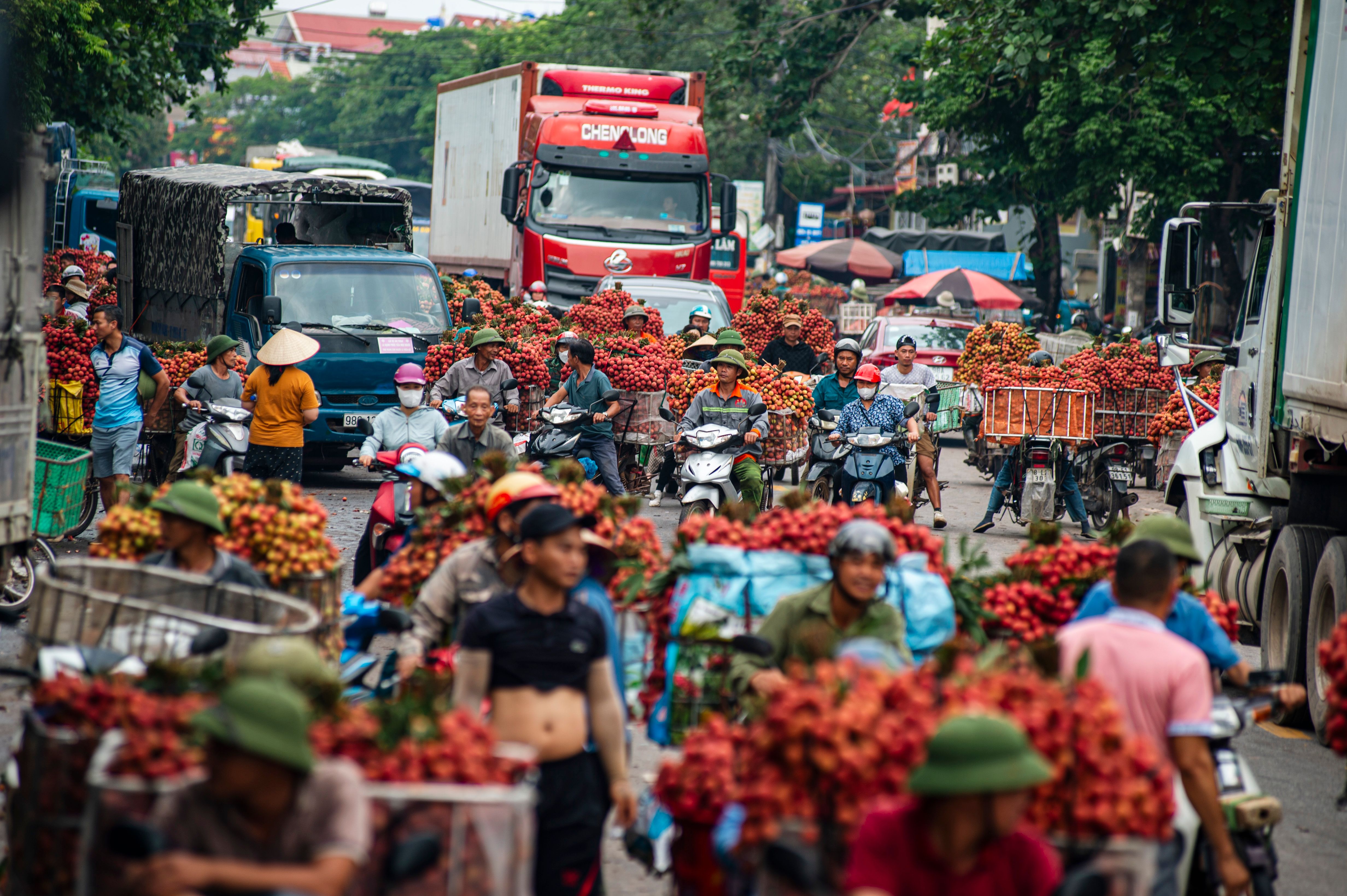 Busy Lychee Market Scene in Bac Giang Vietnam · Free Stock Photo