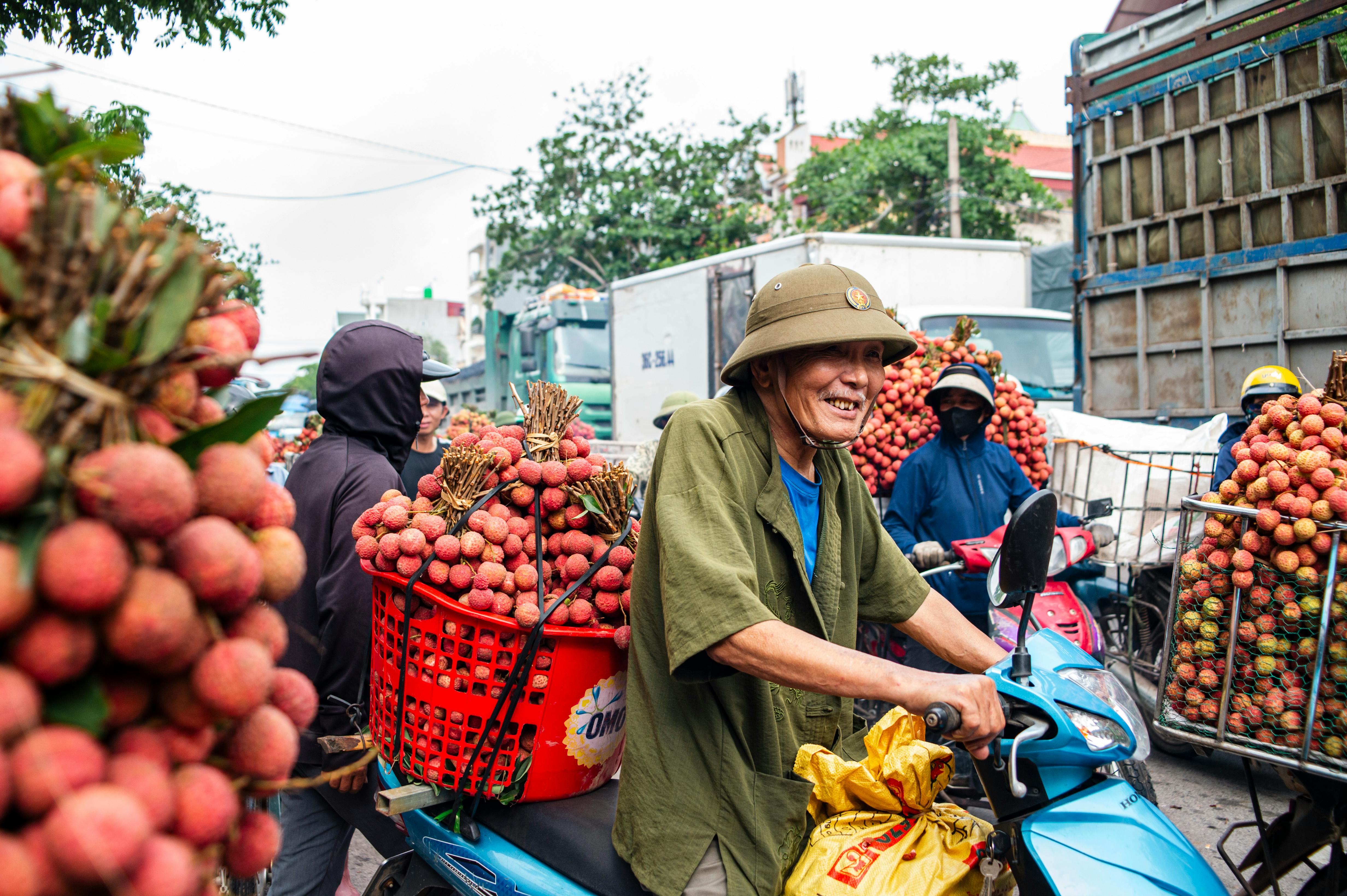 Lively Lychee Market in Bac Giang, Vietnam · Free Stock Photo