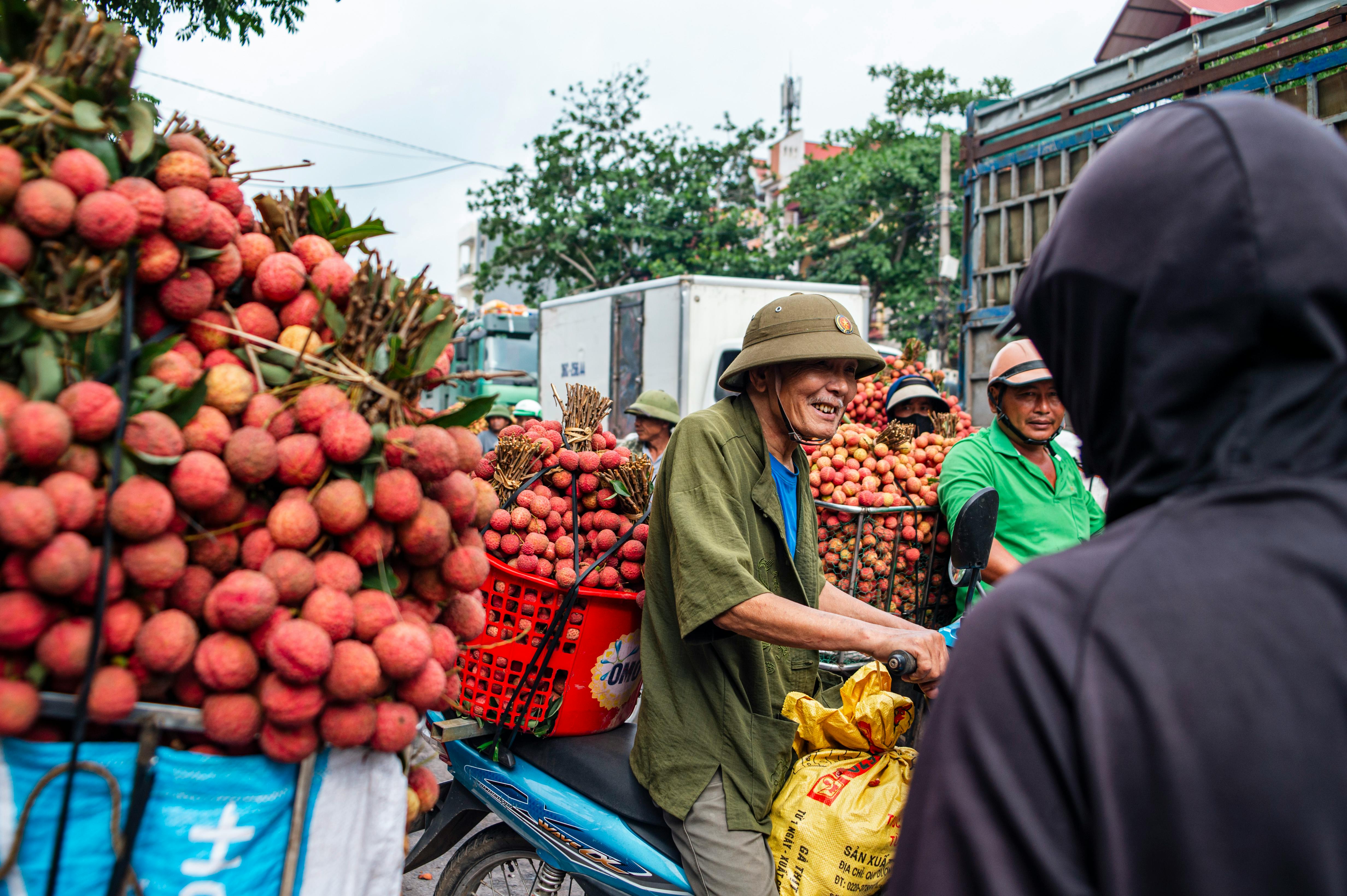 Vibrant Lychee Market Scene in Bac Giang, Vietnam · Free Stock Photo