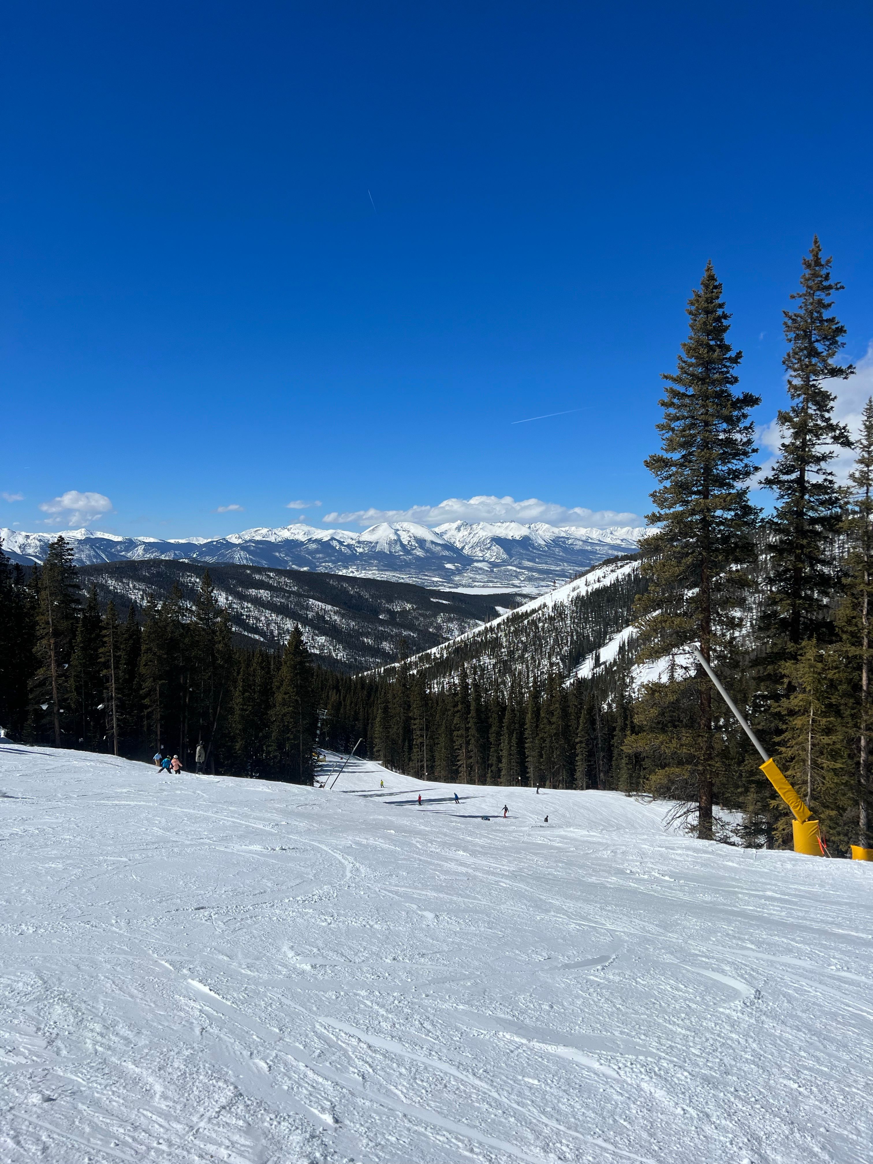 Snowy Mountain Ski Slope with Pine Trees · Free Stock Photo