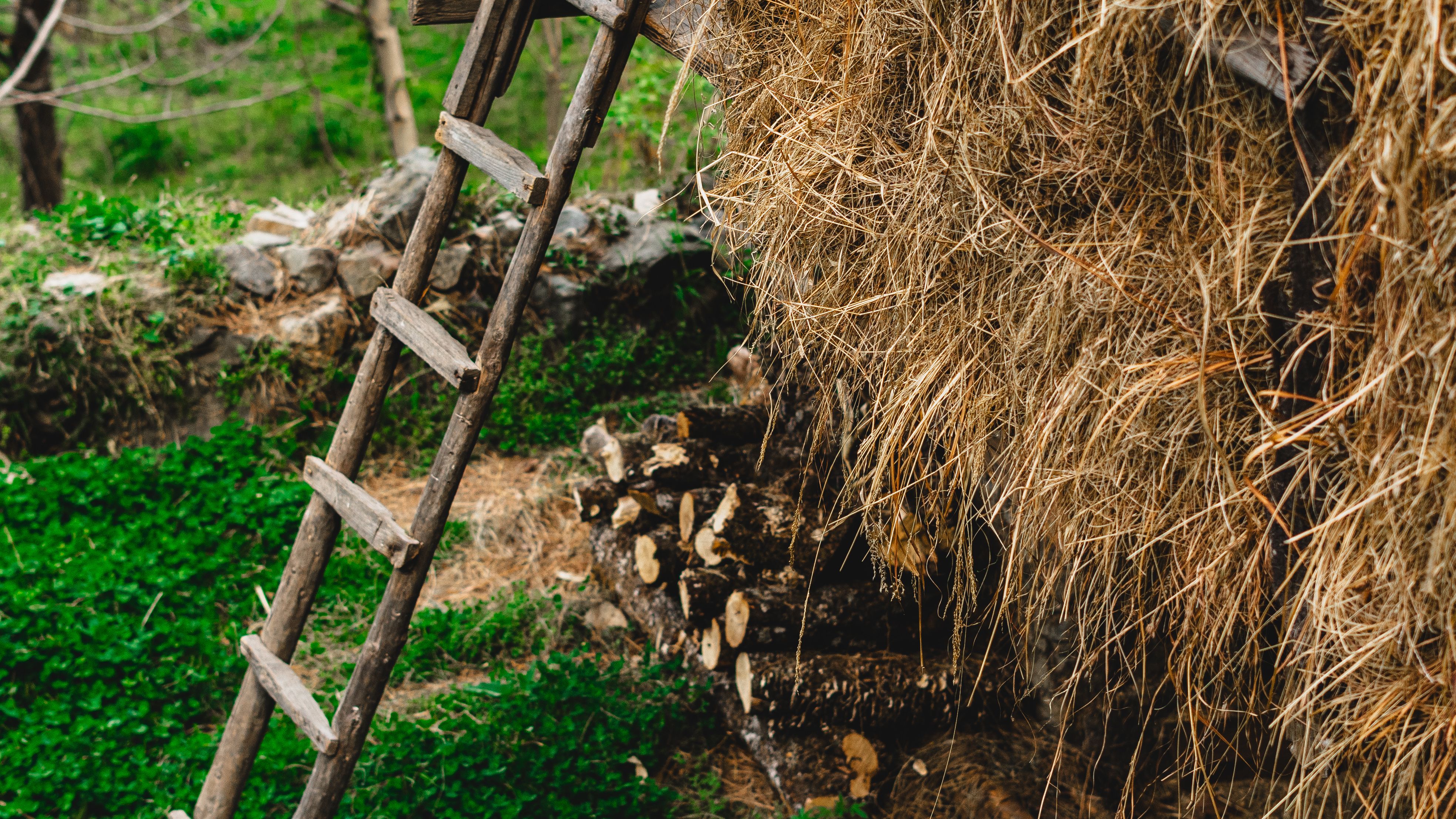 Rustic Haystack with Wooden Ladder Outdoors · Free Stock Photo