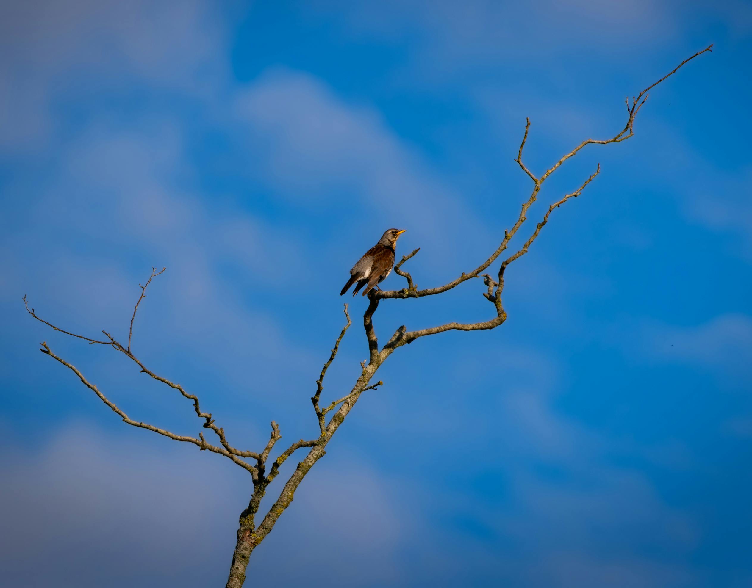 Free Photography Contest Photos, Download The BEST Free Free ...