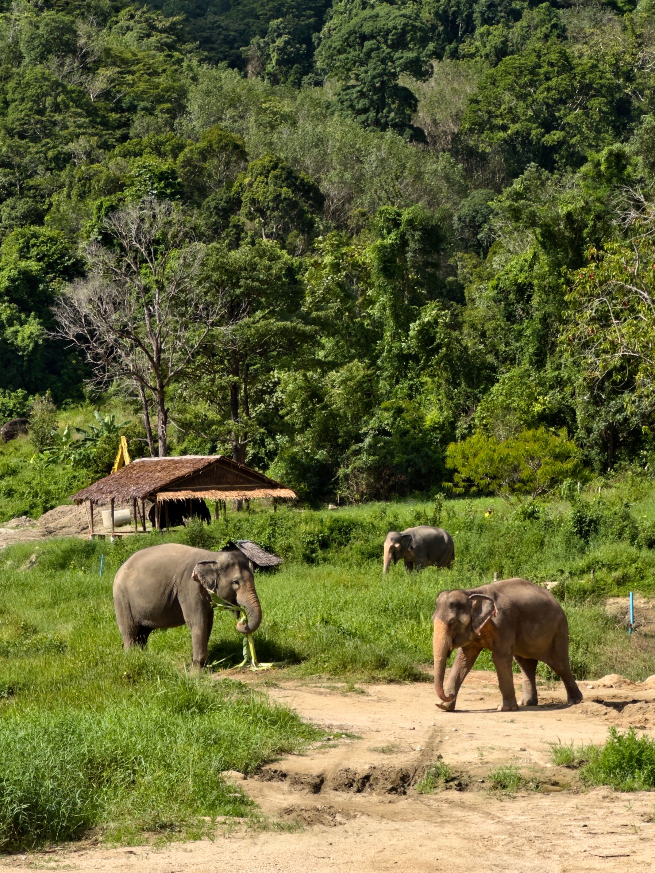 Habitat Sanctuary Photos, Download The BEST Free Habitat Sanctuary ...