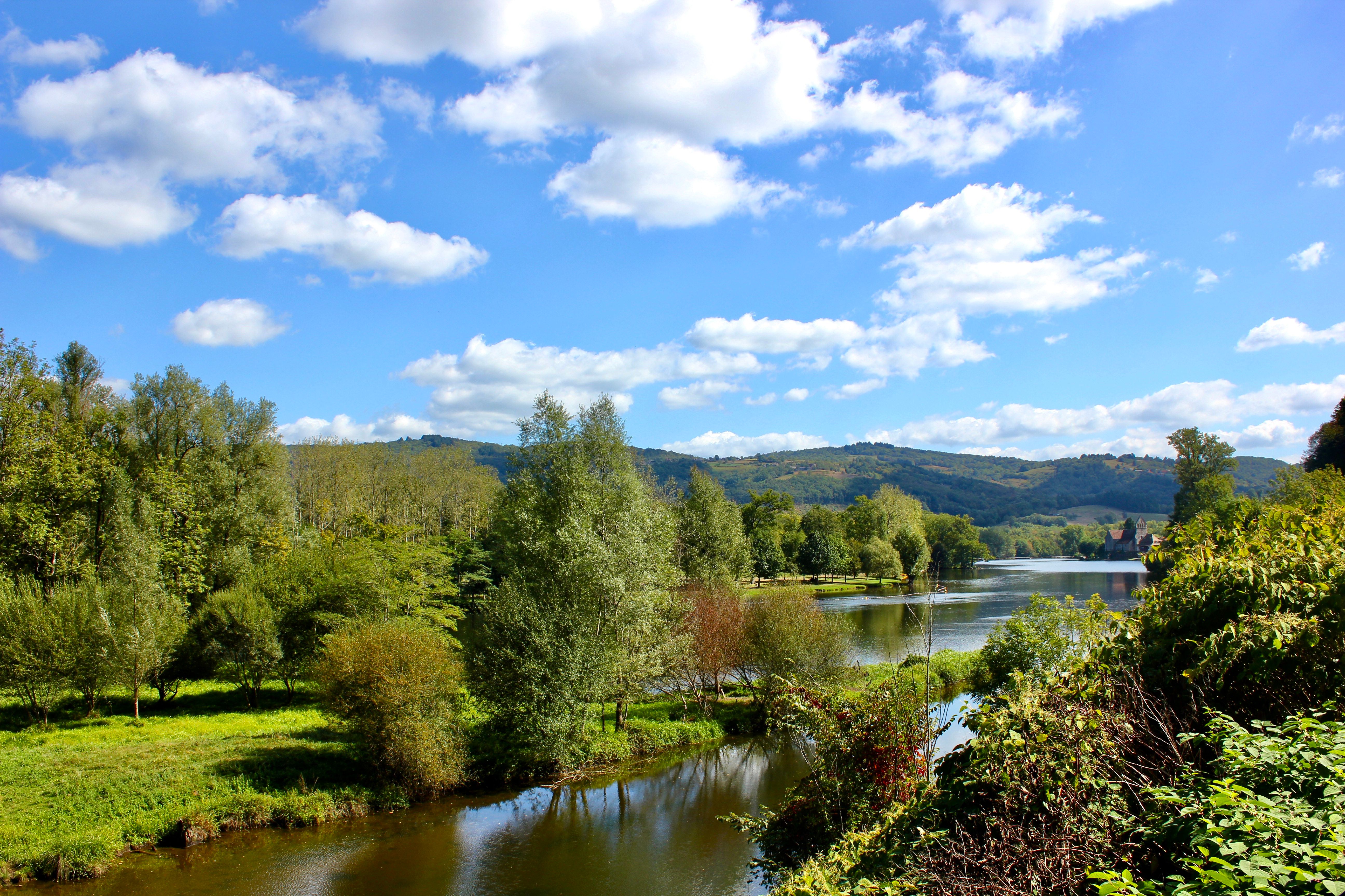 Ecosystem Photos, Download The BEST Free Ecosystem Stock Photos & HD Images