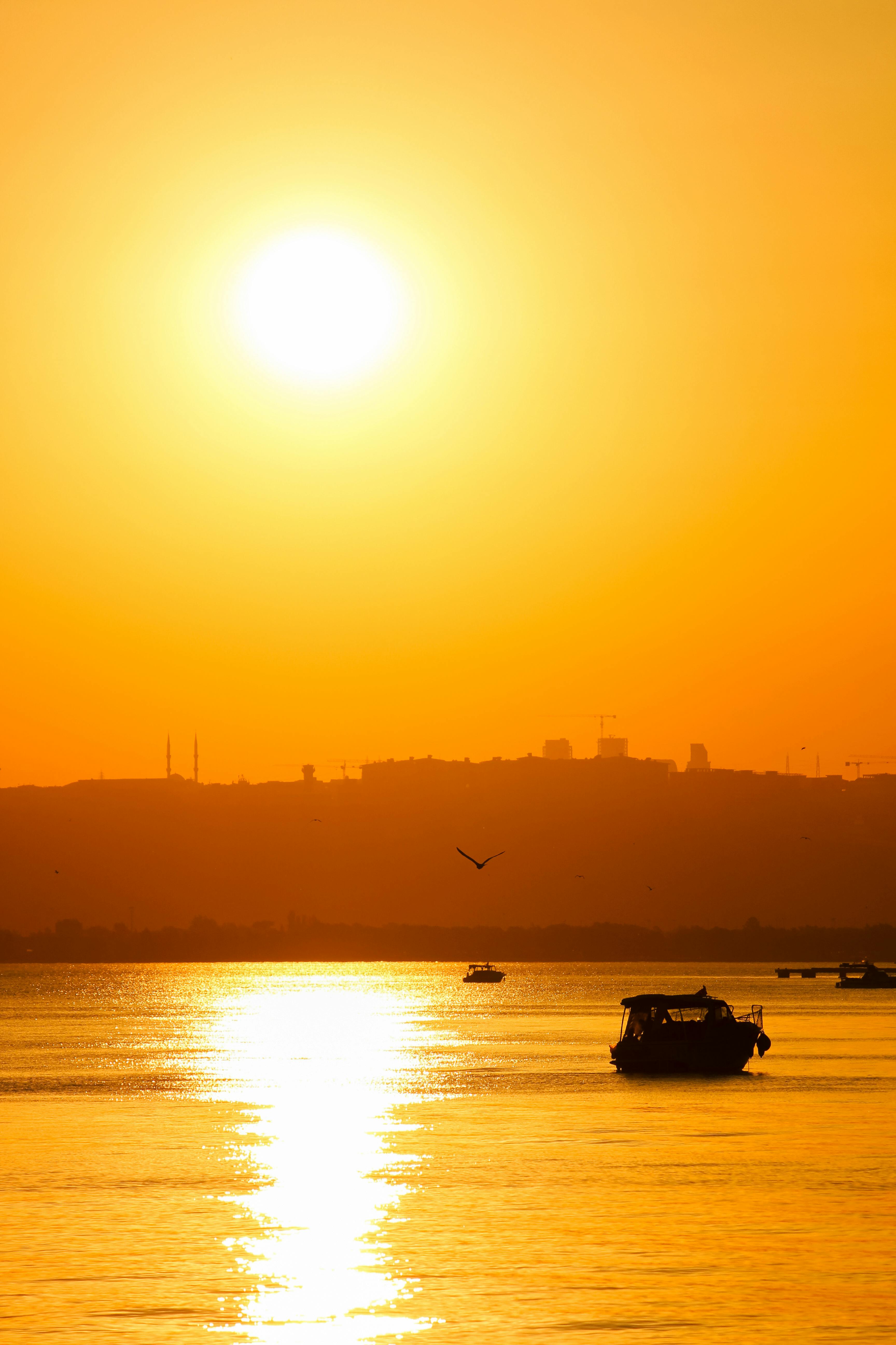 Stunning Golden Sunset Over Calm Waters · Free Stock Photo
