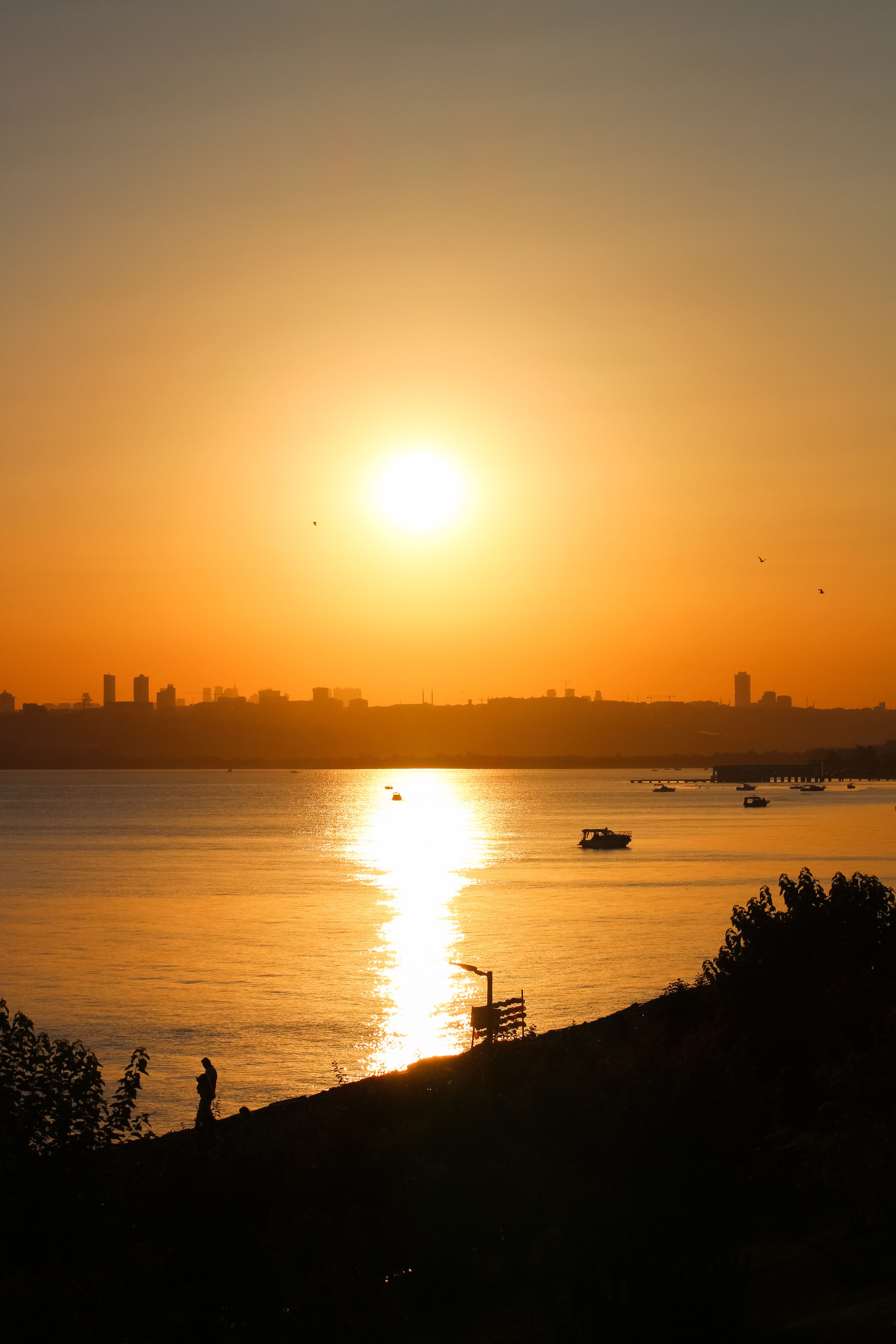 Photo of Seattle Skyline During Golden Hour · Free Stock Photo