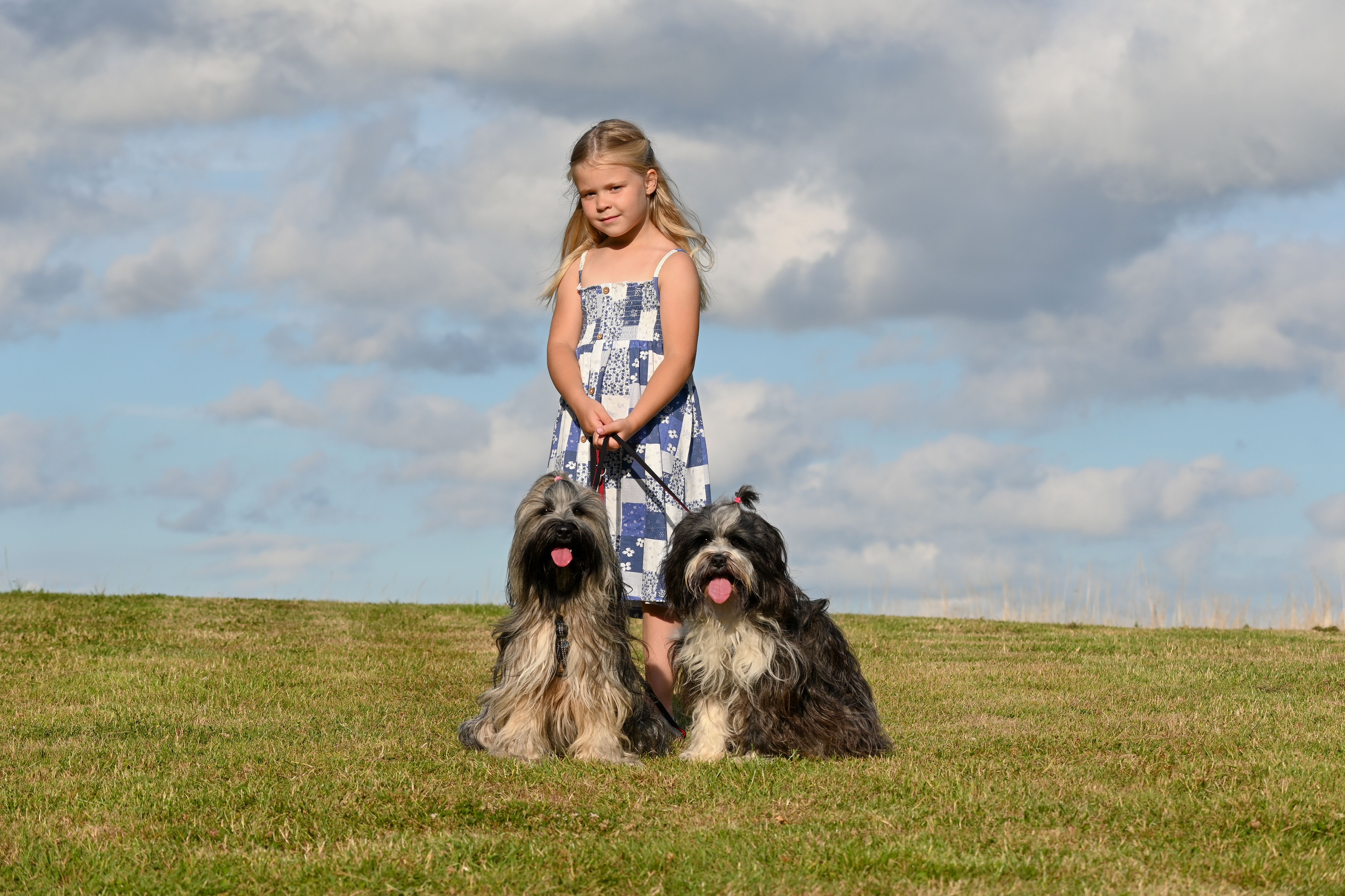 Blig Family Photos, Download The BEST Free Blig Family Stock Photos ...