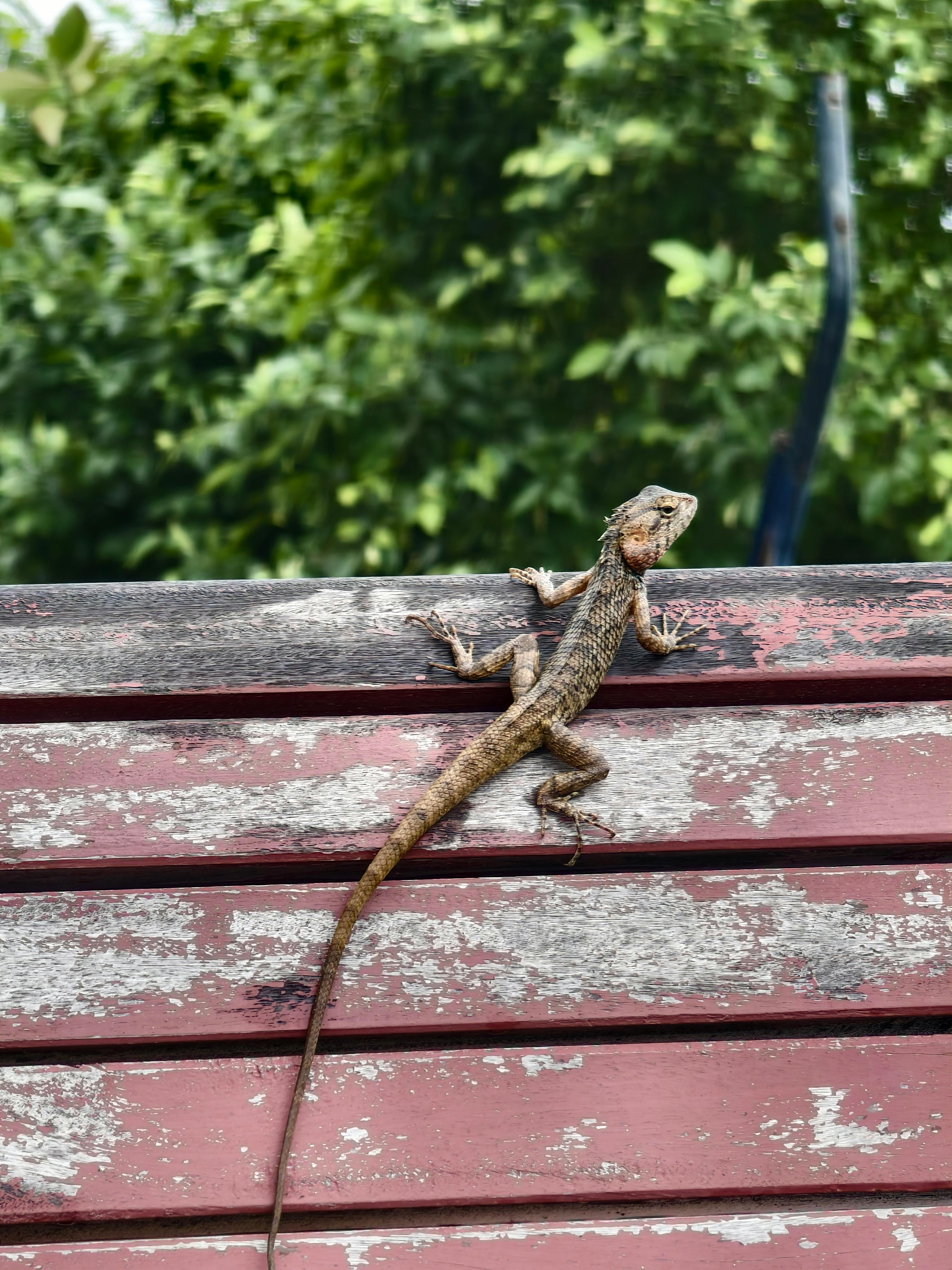 Agile Methodology Photos, Download The BEST Free Agile Methodology ...