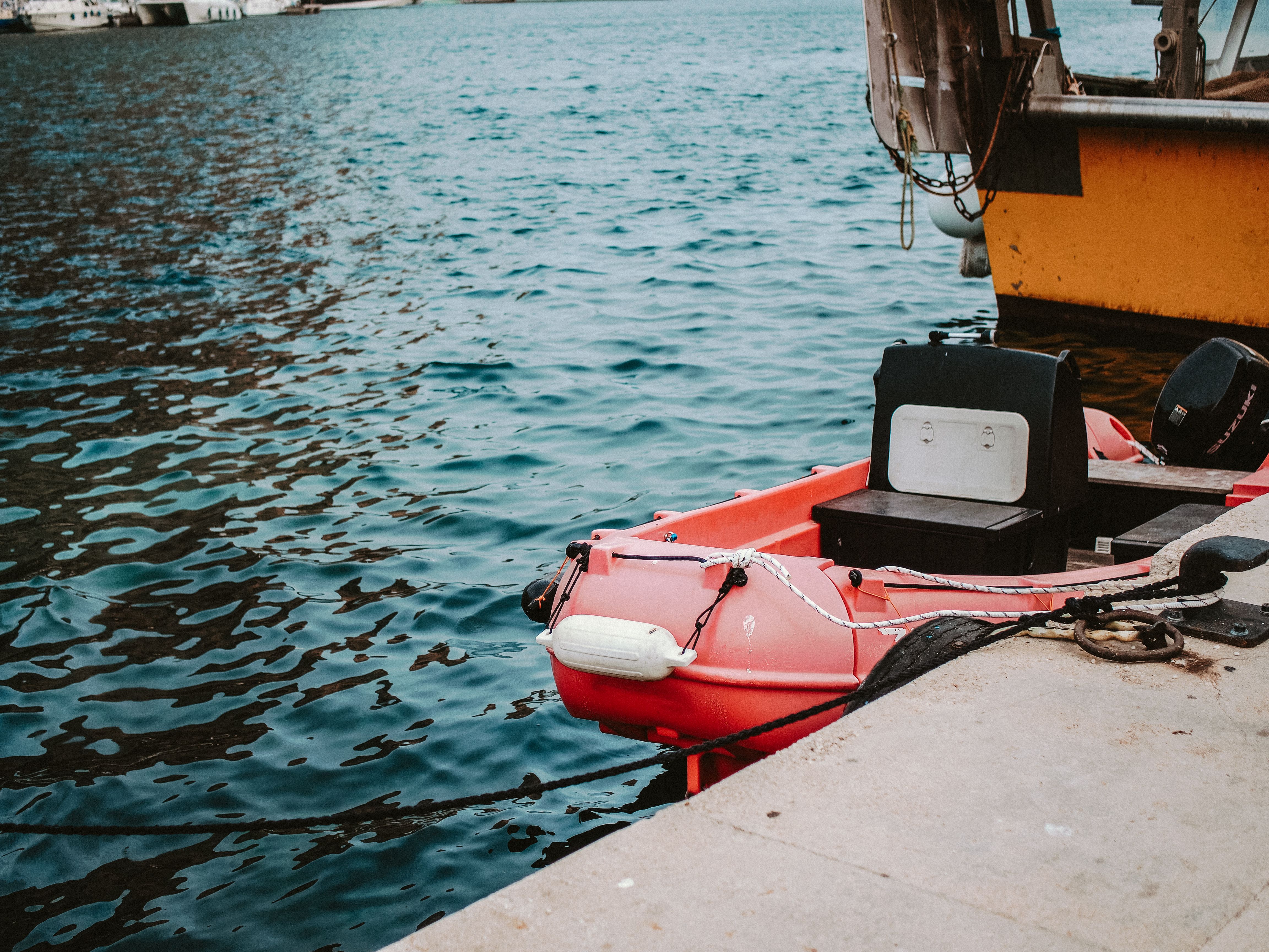 Marine Activity Photos, Download The BEST Free Marine Activity Stock ...