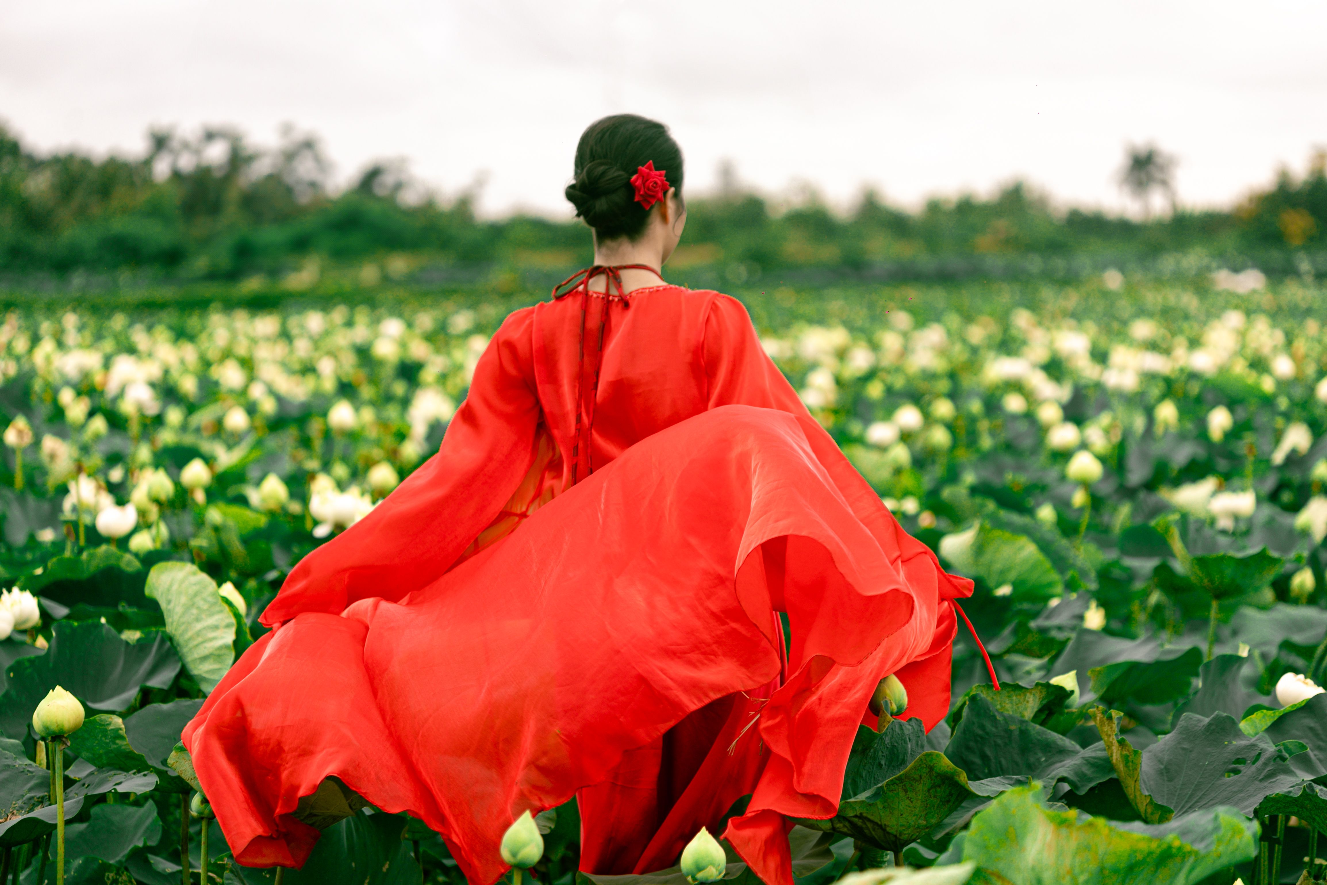 Color: Red Photos, Download The BEST Free Color: Red Stock Photos & HD ...