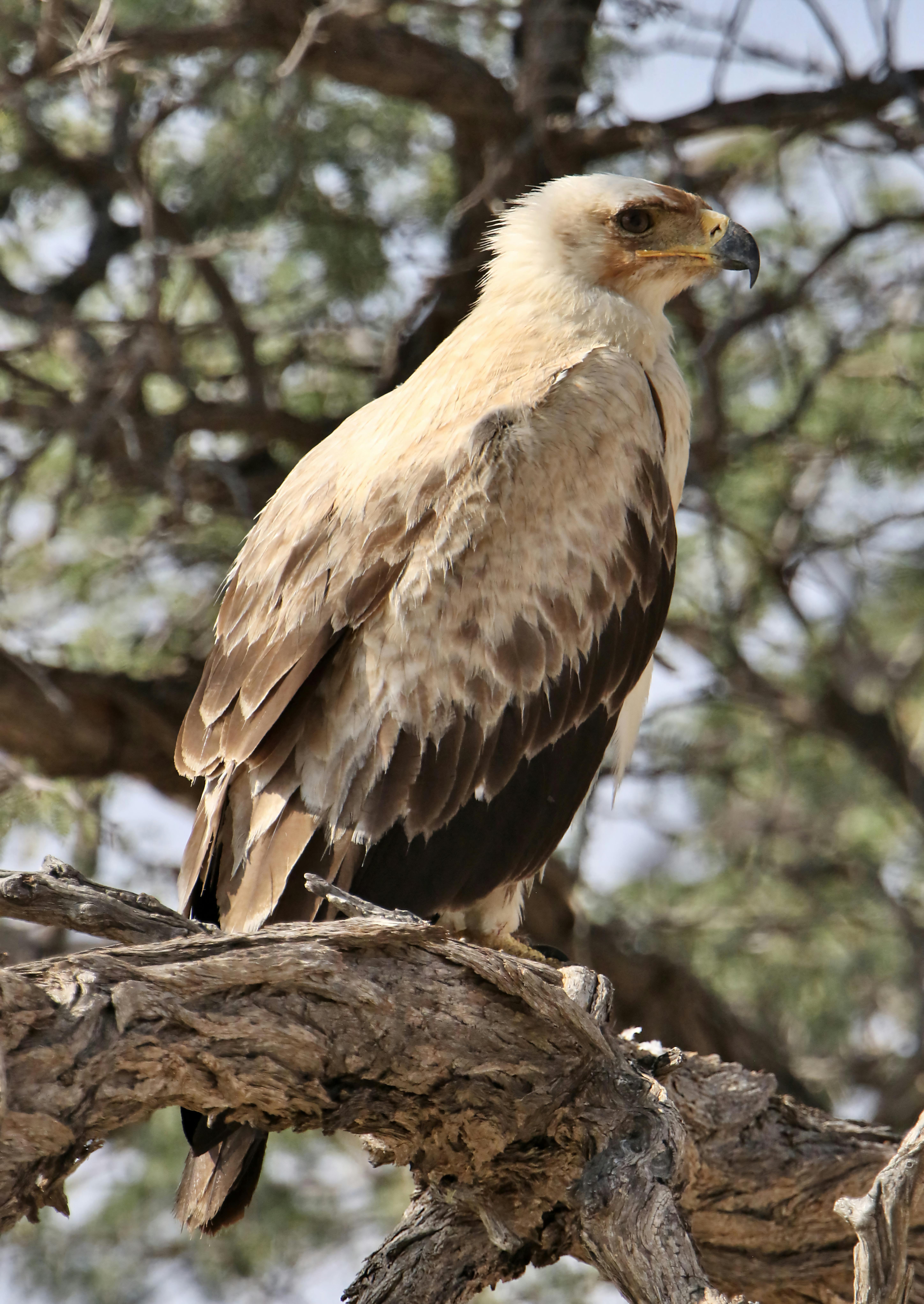 76.655+ Fotos y Imágenes de Nylaarp claim form Gratis · Banco de Fotos ...