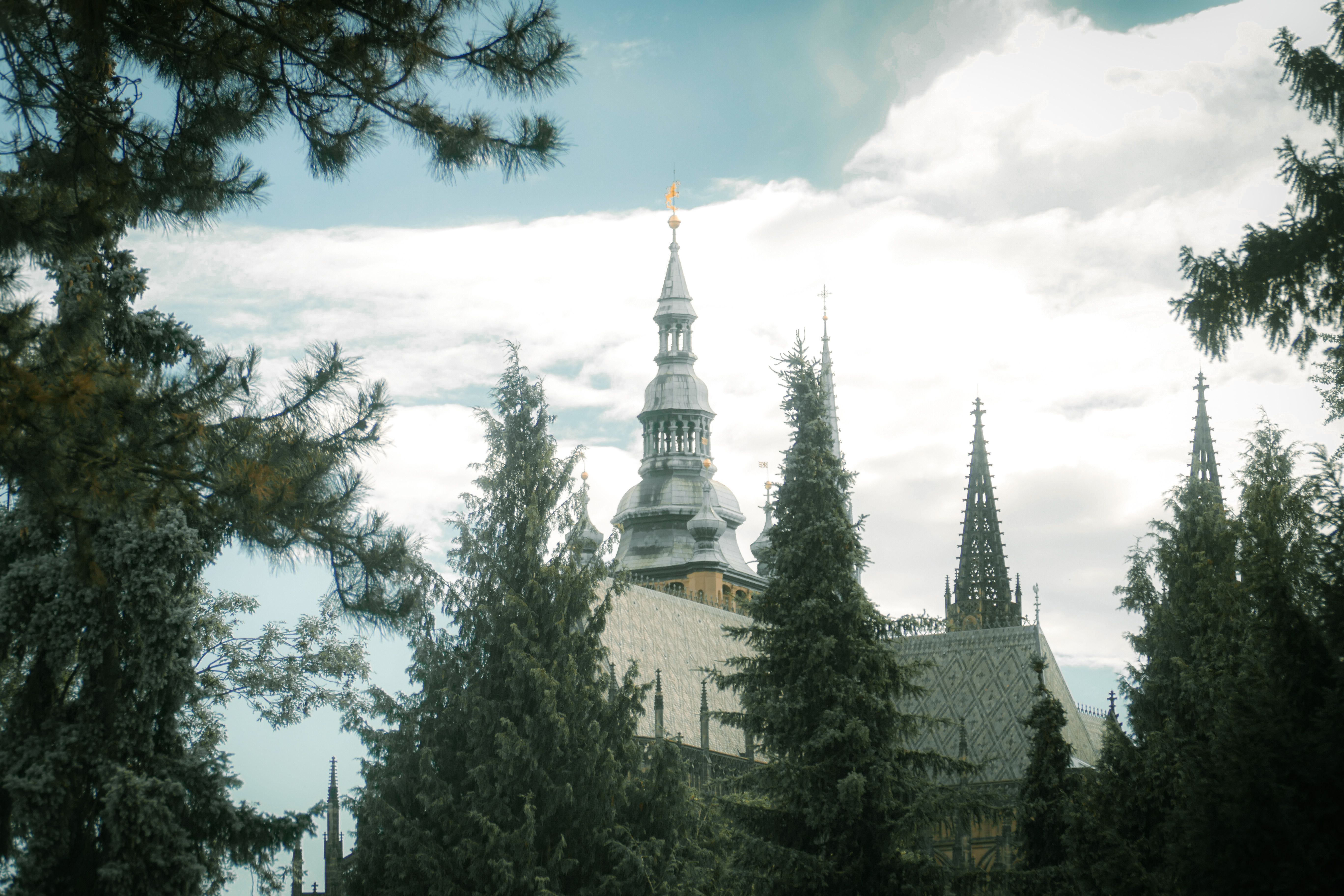 Gothic Church Spire Amidst Pine Trees in Prague · Free Stock Photo