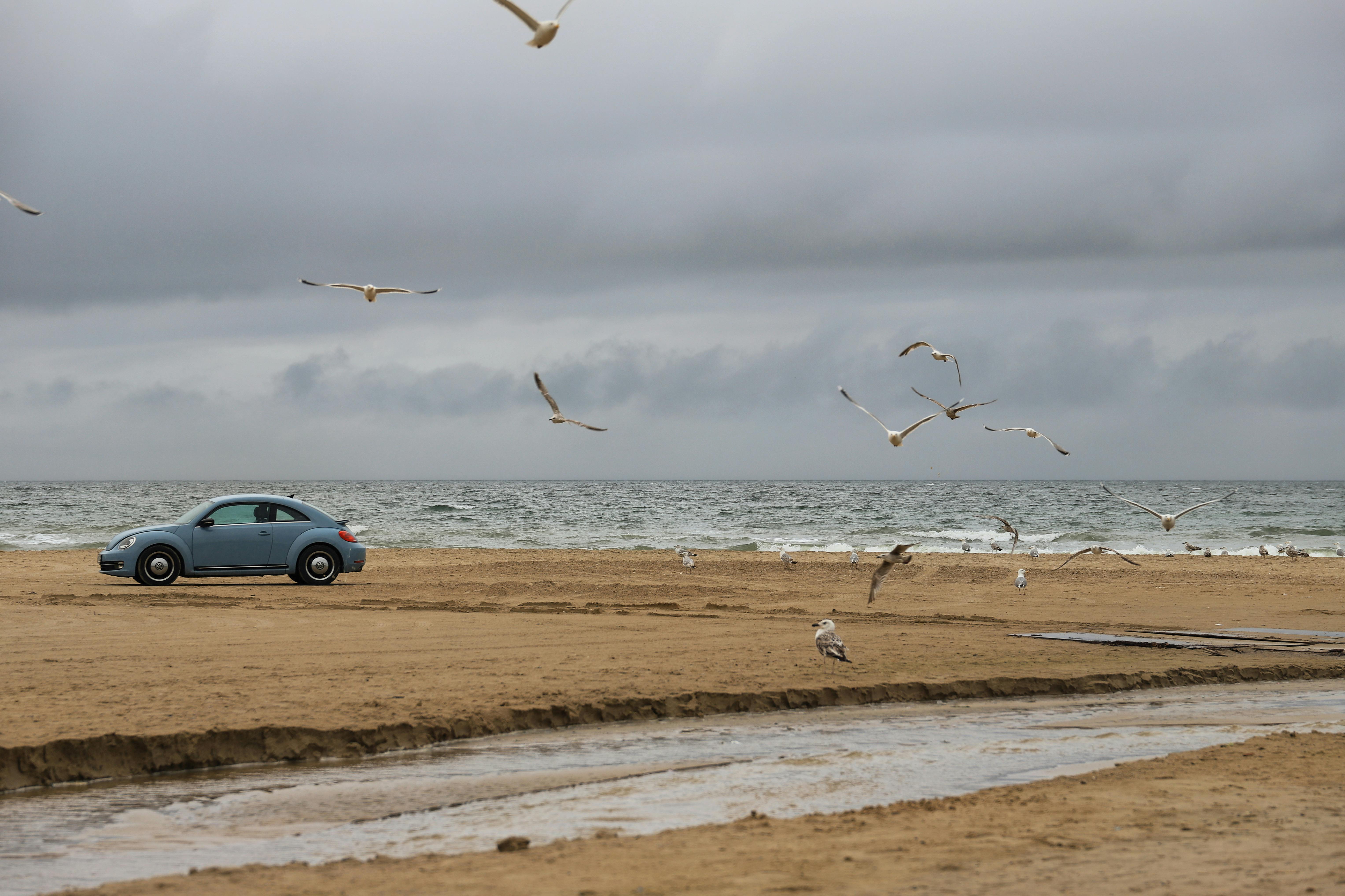 Dull Photos, Download The BEST Free Dull Stock Photos & HD Images