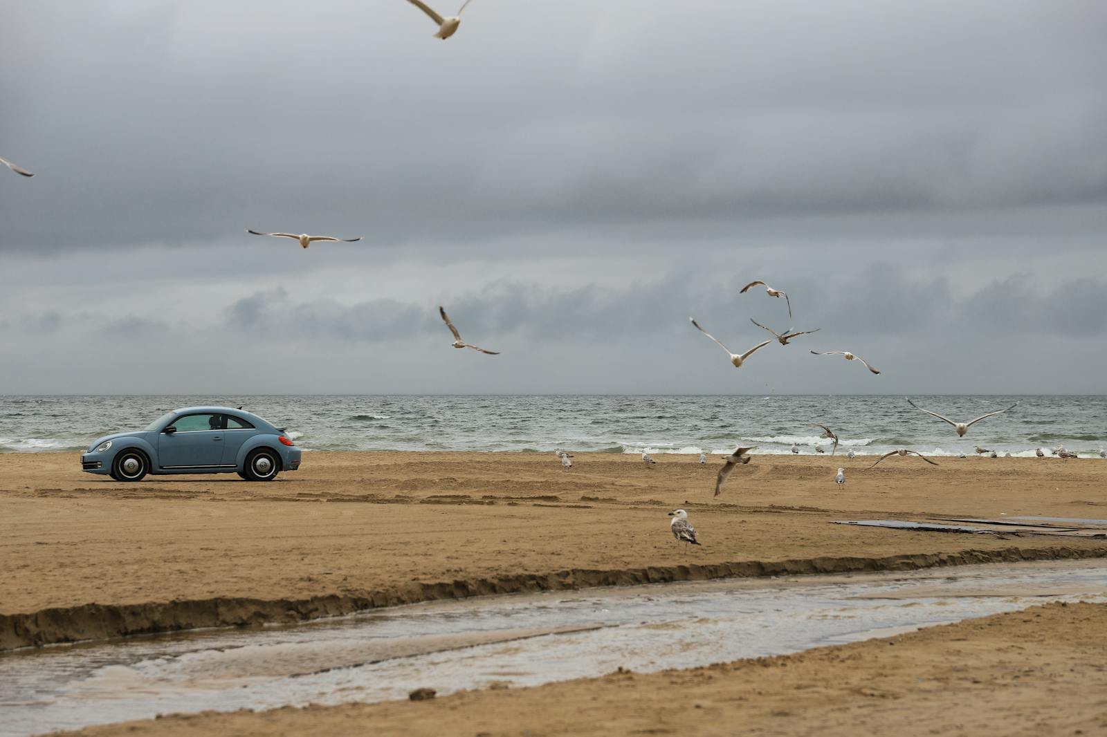 Danish Jain Photos, Download The BEST Free Danish Jain Stock Photos ...