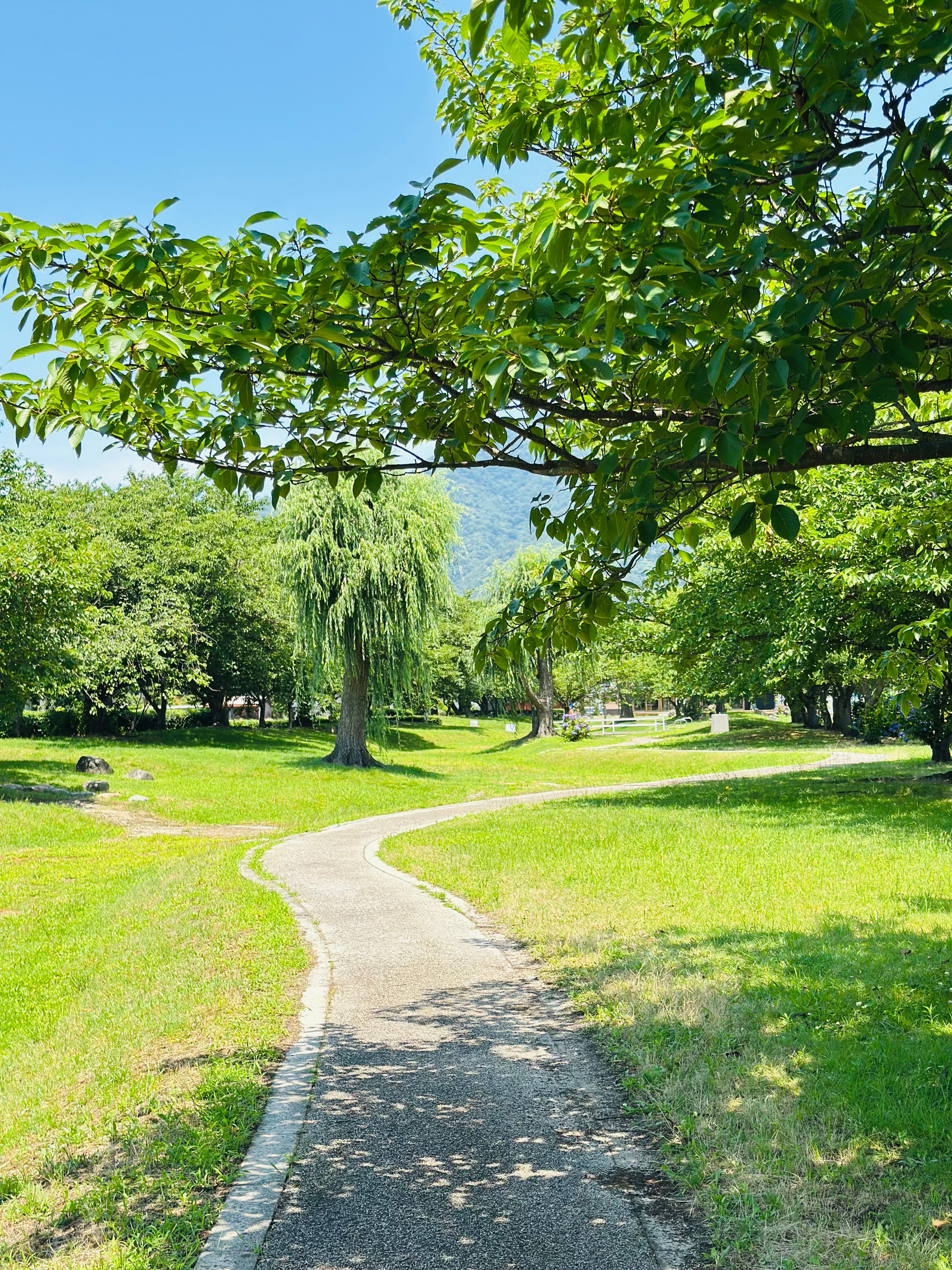 Land Skib Photos, Download The BEST Free Land Skib Stock Photos & HD Images