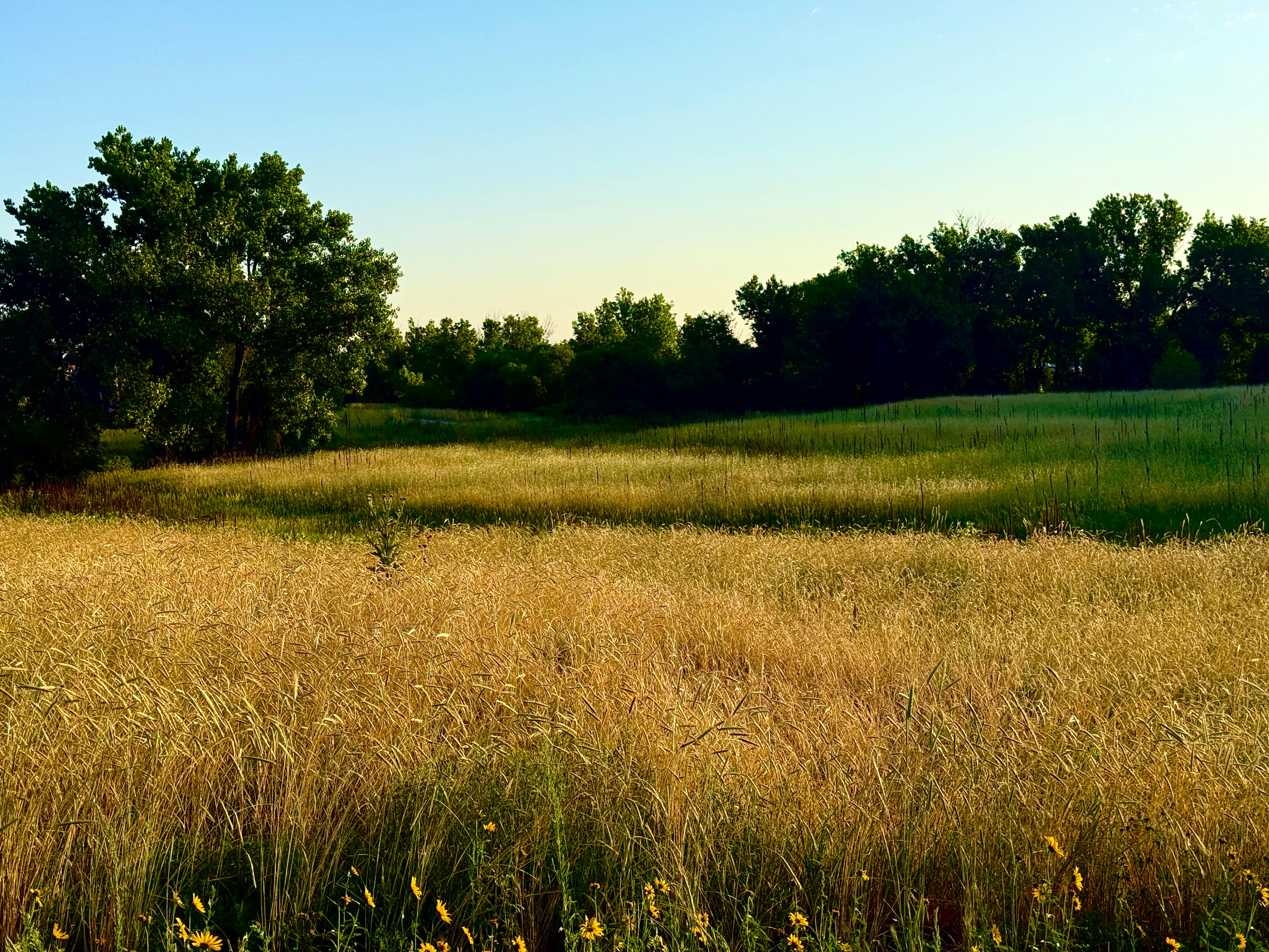 Matthew Baxter - 摄影