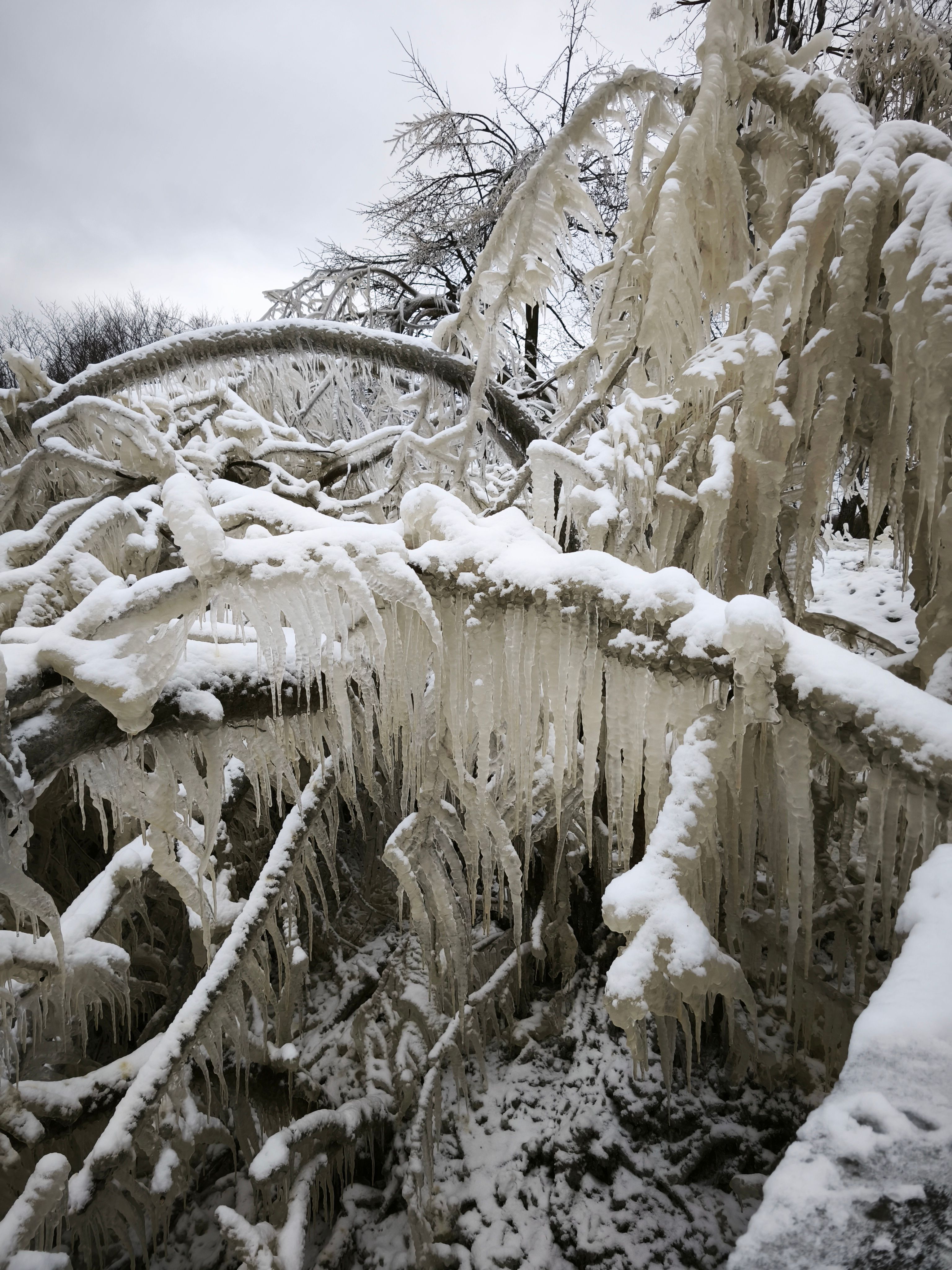 Fau Freezing Photos, Download The BEST Free Fau Freezing Stock Photos ...