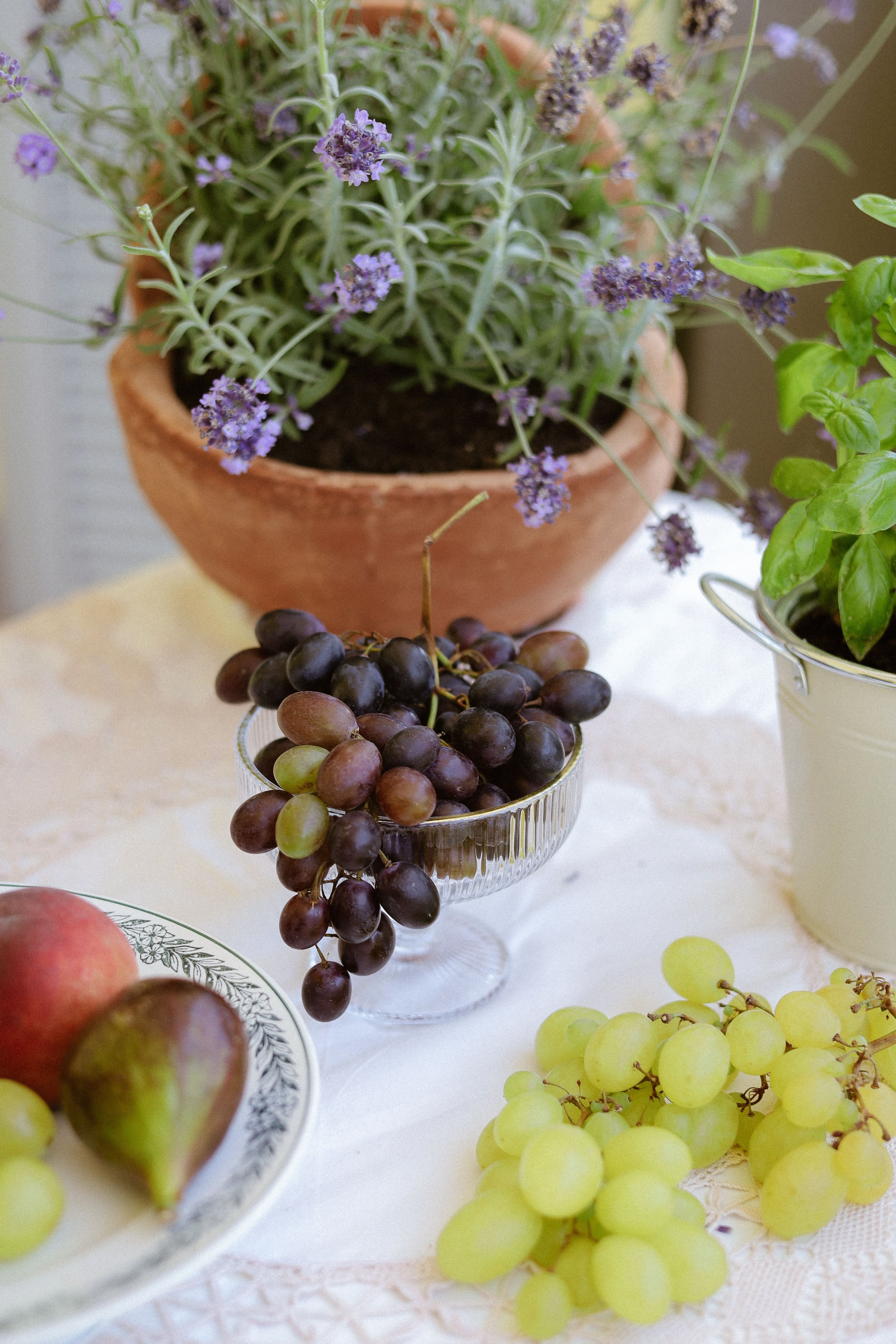 Summer Fruits and Lavender Arrangement on Table · Free Stock Photo