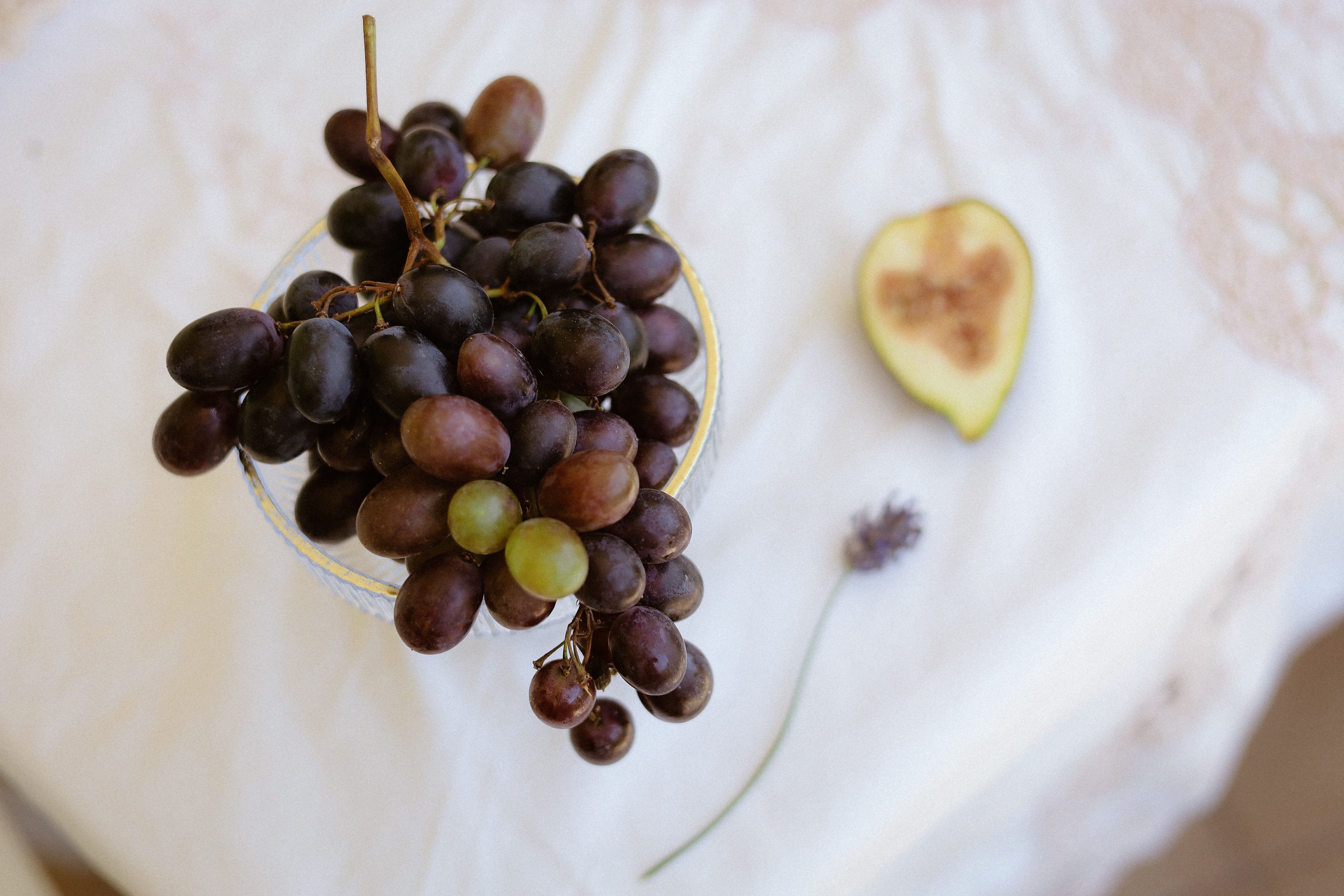 Elegant Fruit Still Life with Grapes and Fig · Free Stock Photo