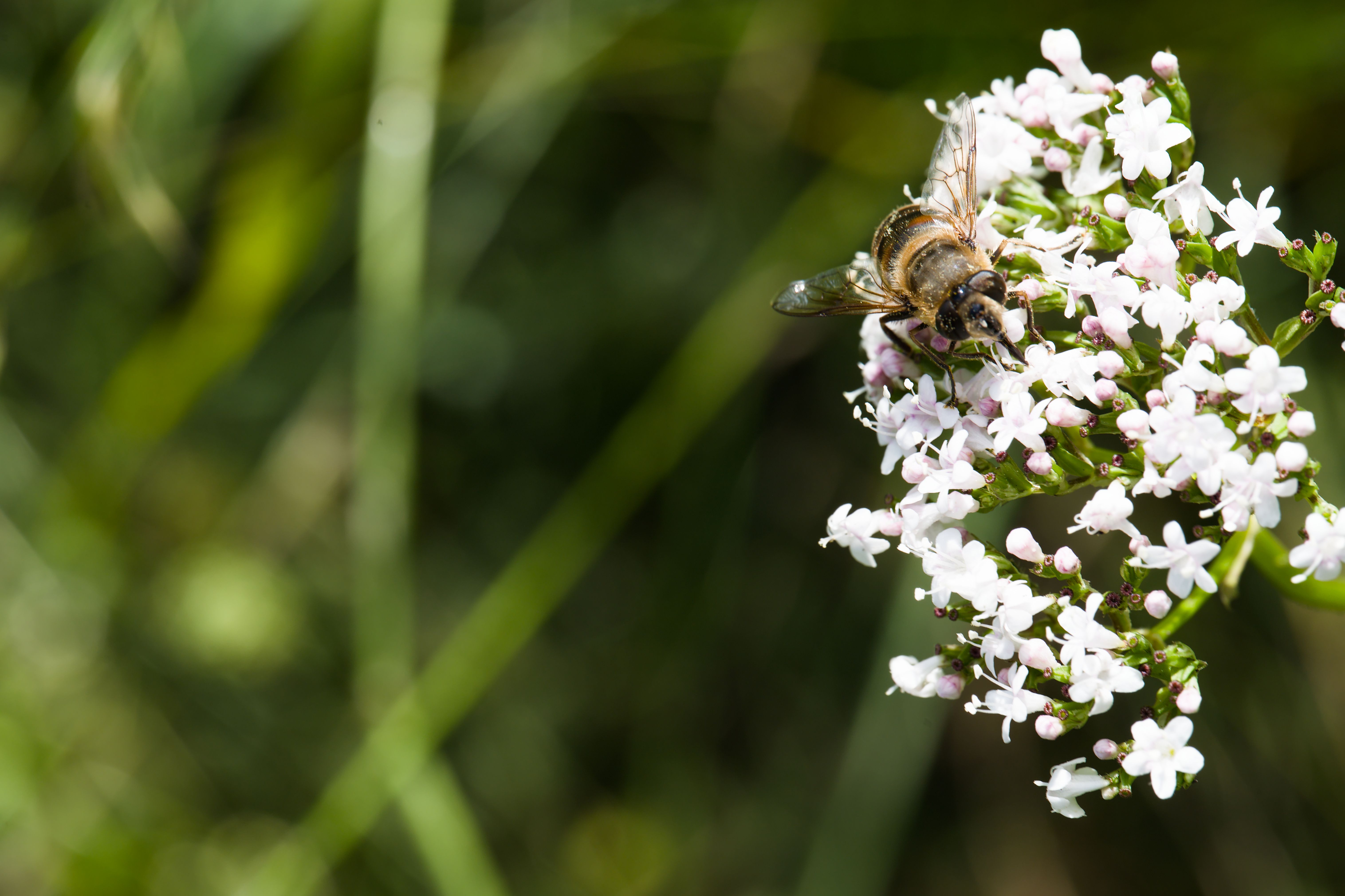 Spring Season Photos, Download The BEST Free Spring Season Stock Photos ...