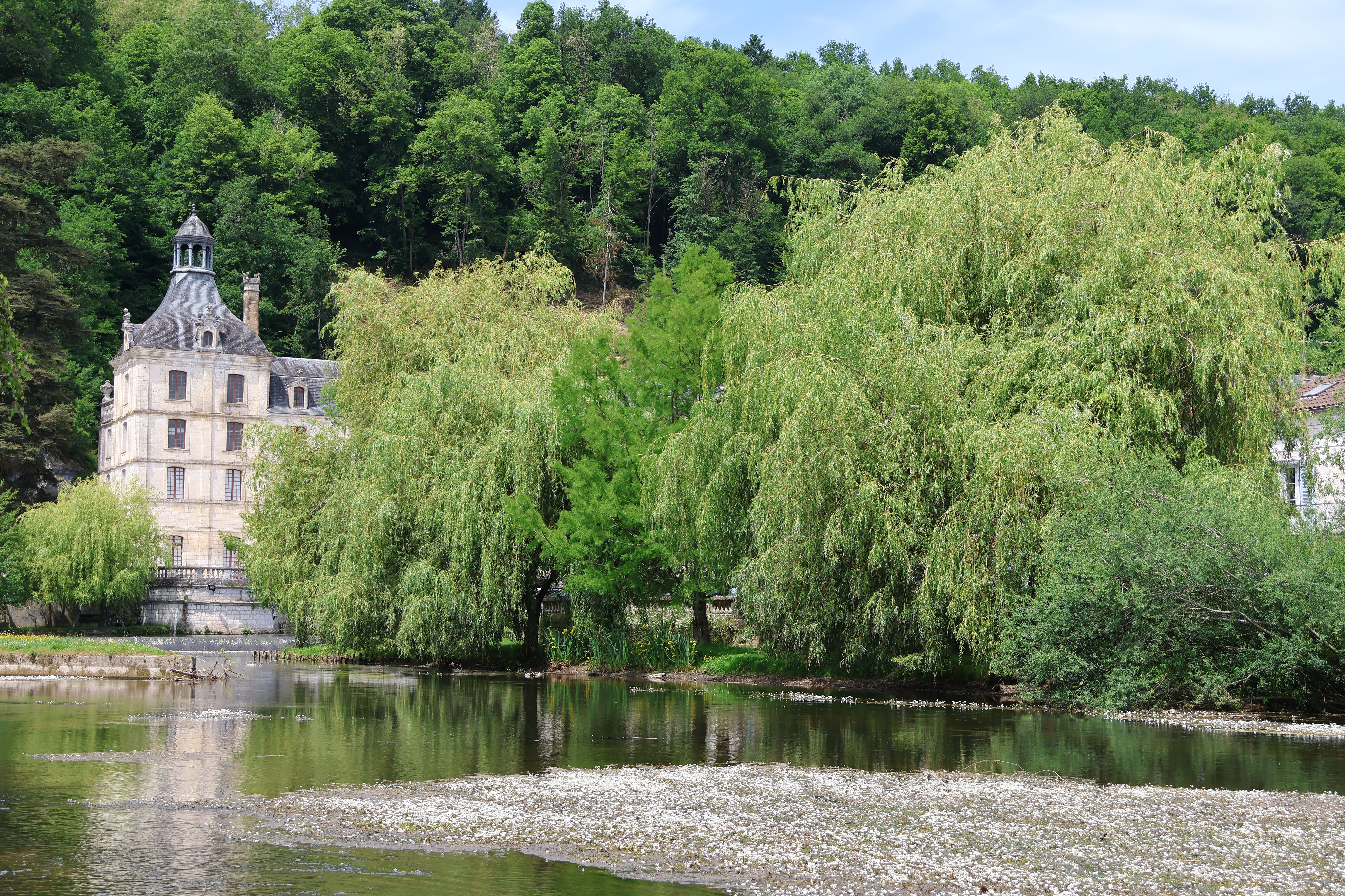Historic Castle by Riverside with Lush Greenery · Free Stock Photo