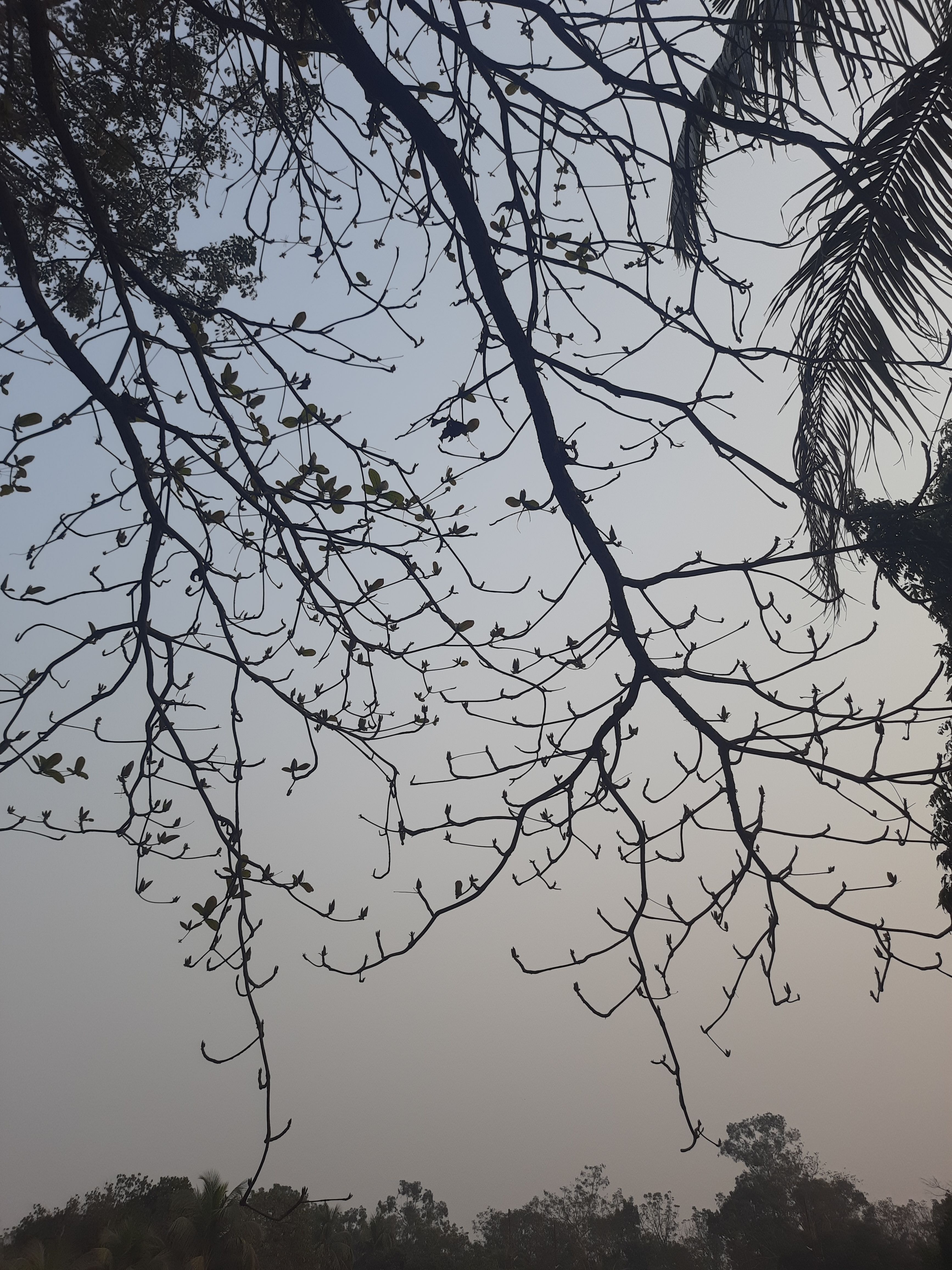 Nature Click Photos, Download The BEST Free Nature Click Stock Photos ...