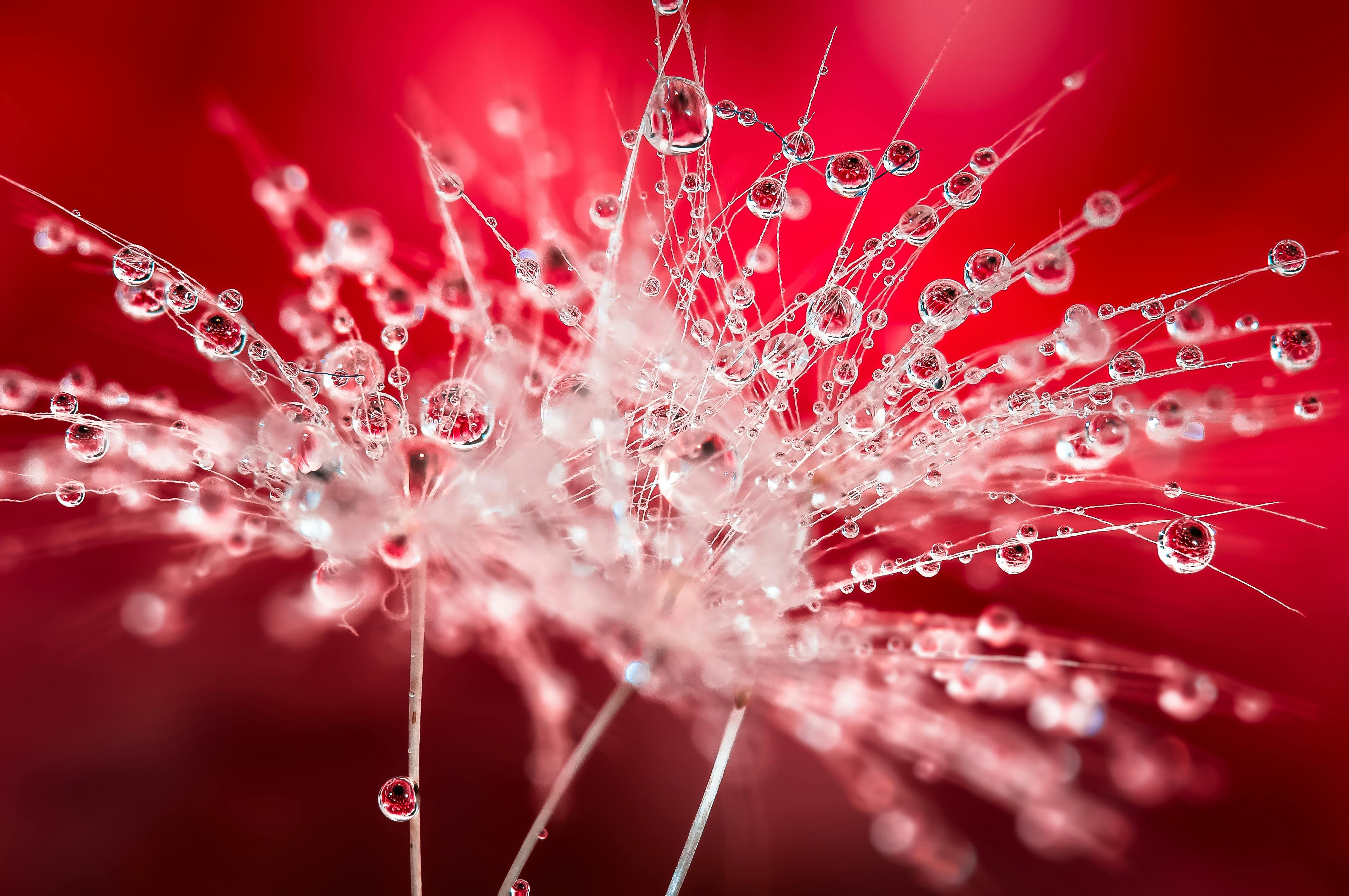 4k Red Background Photos, Download The BEST Free 4k Red Background ...