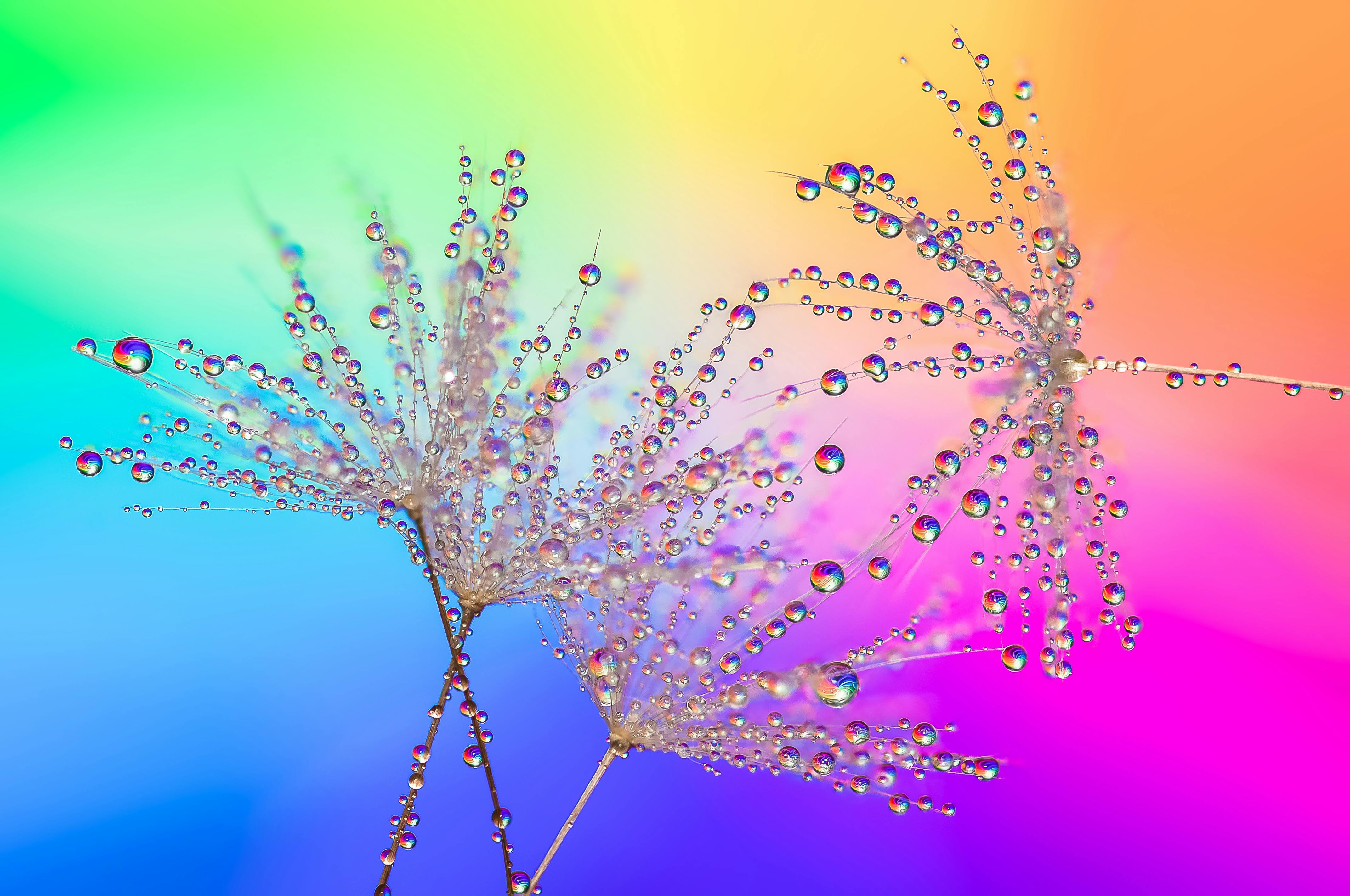 Beautiful 4k Wallpaper For Windows Photos, Download The BEST Free ...