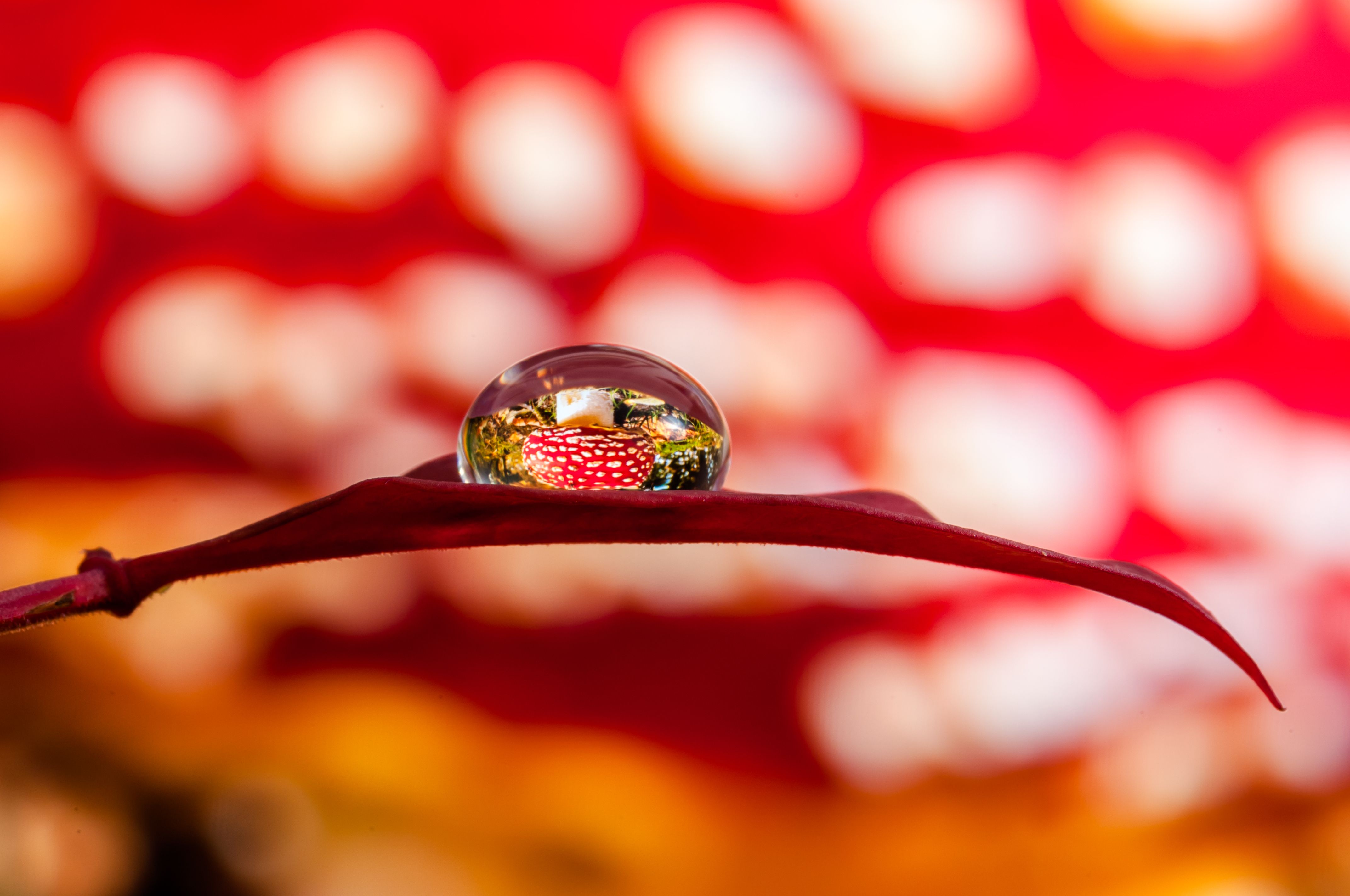 4k Windows Wallpapers Photos, Download The BEST Free 4k Windows ...