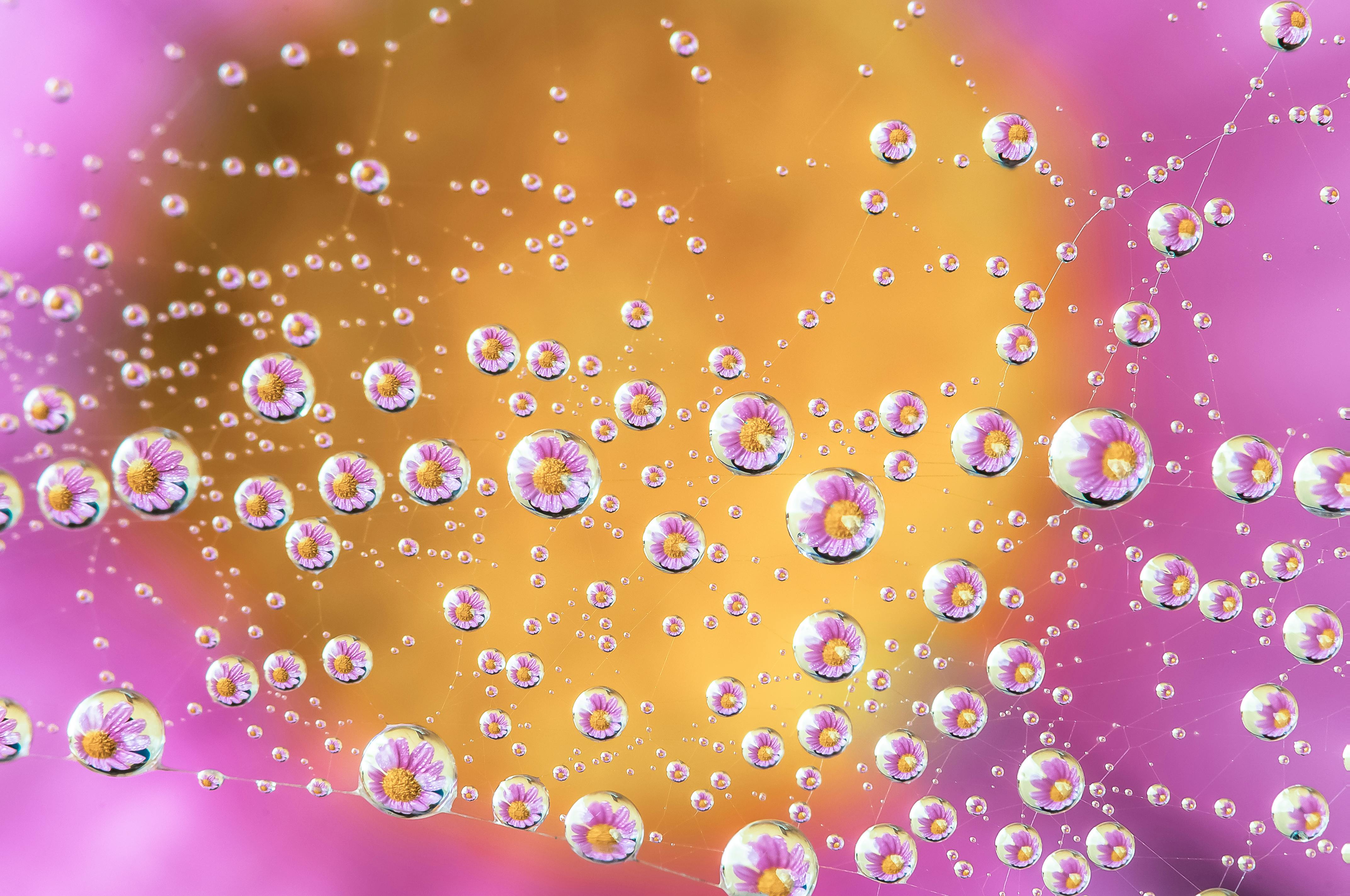 56.898+ Fotos y Imágenes de Drip wallpapers Gratis · Banco de Fotos Gratis