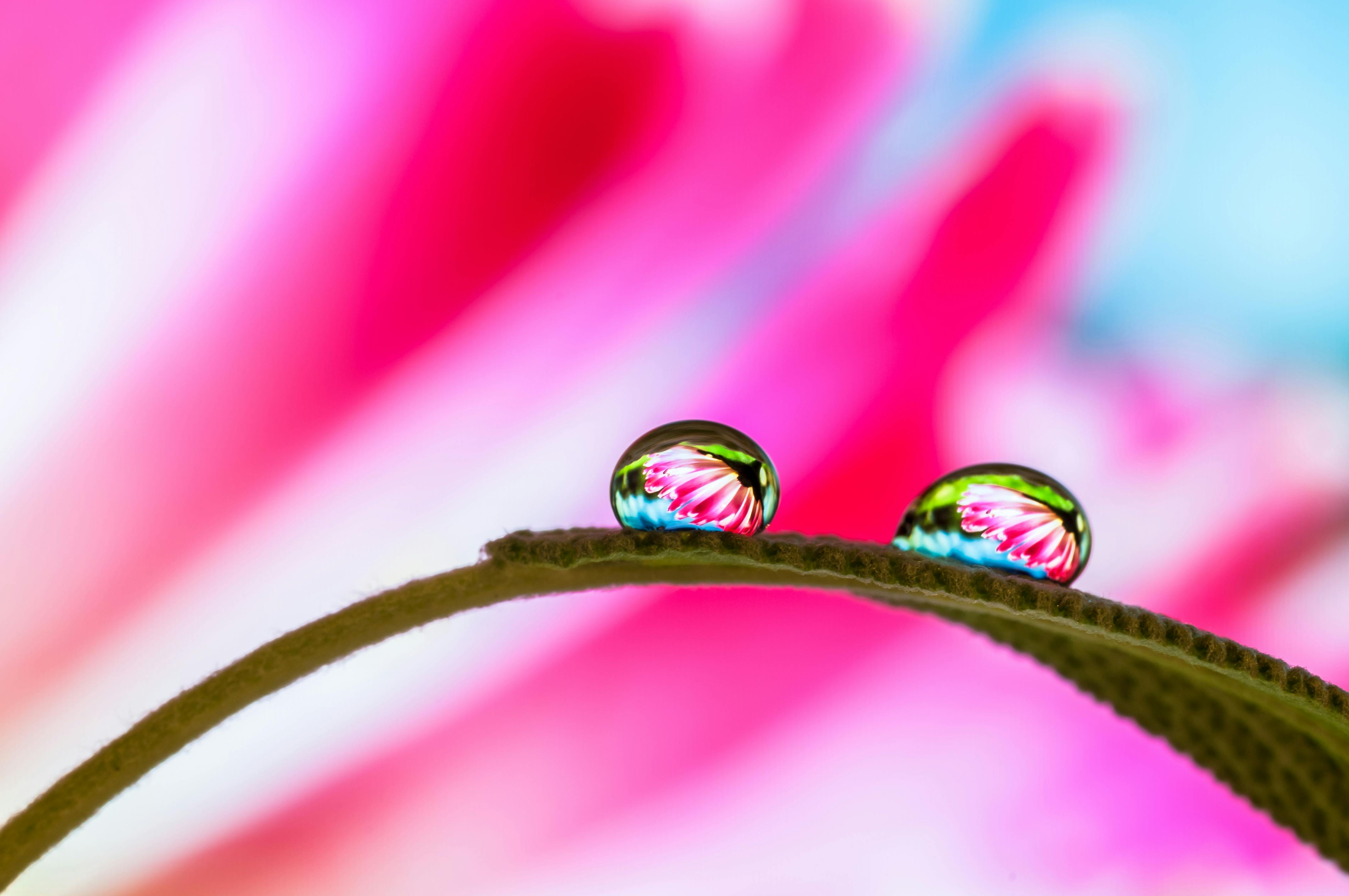 Windows Pink Wallpaper Photos, Download The BEST Free Windows Pink ...