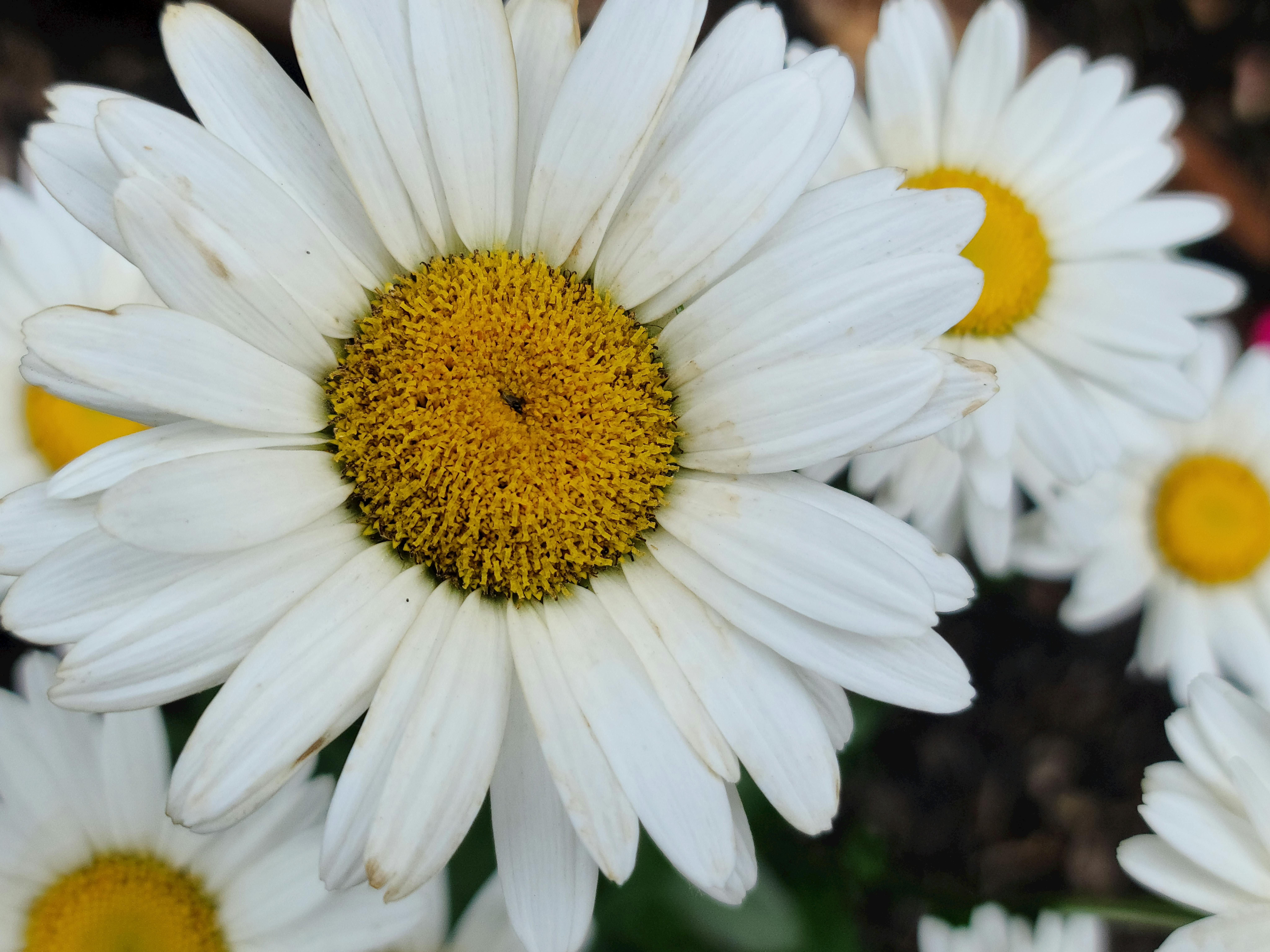 Bud Jenkins - 写真