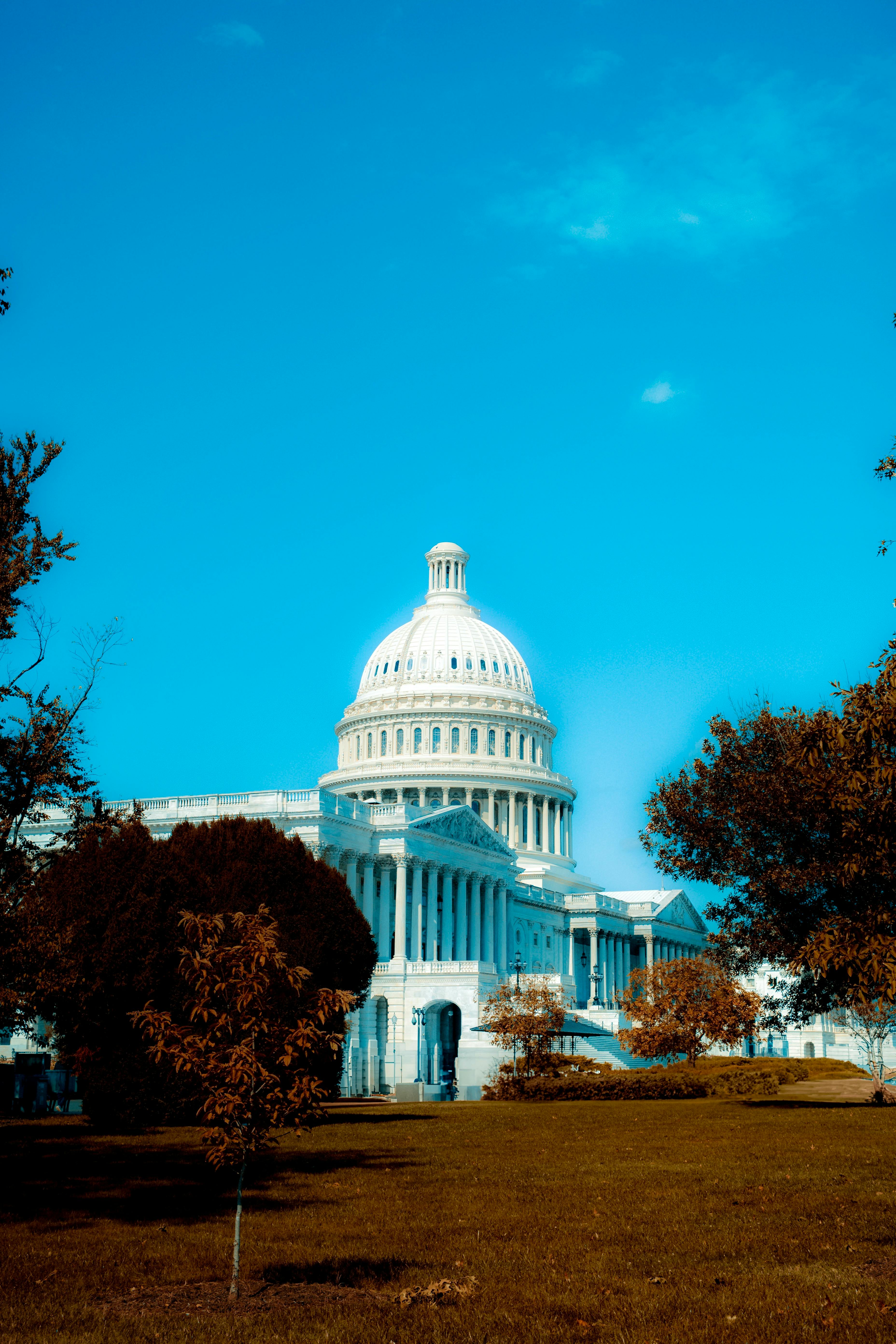 Washington Dc Skyline Photos, Download The BEST Free Washington Dc ...