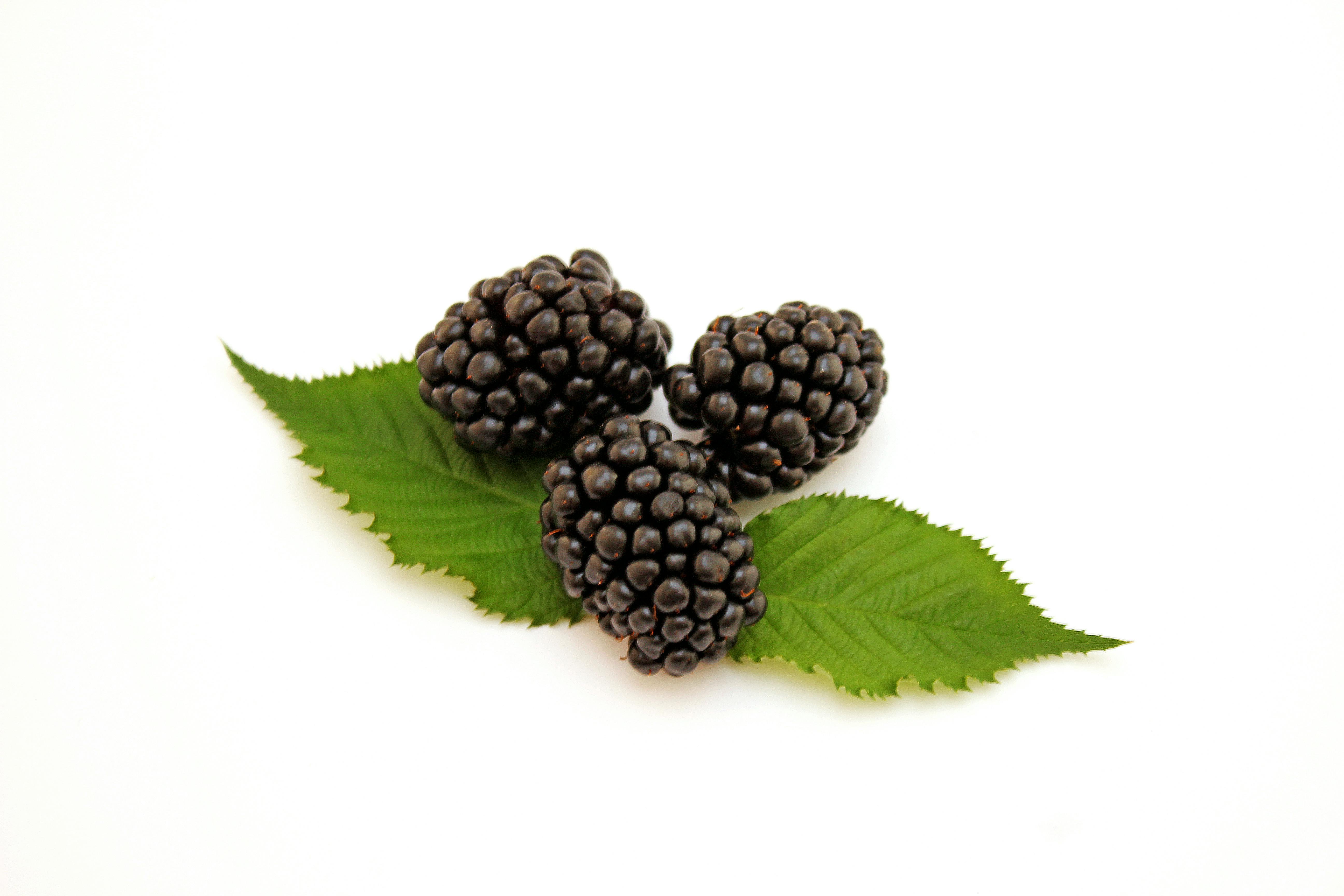 Chudail Image Photos, Download The BEST Free Chudail Image Stock Photos ...