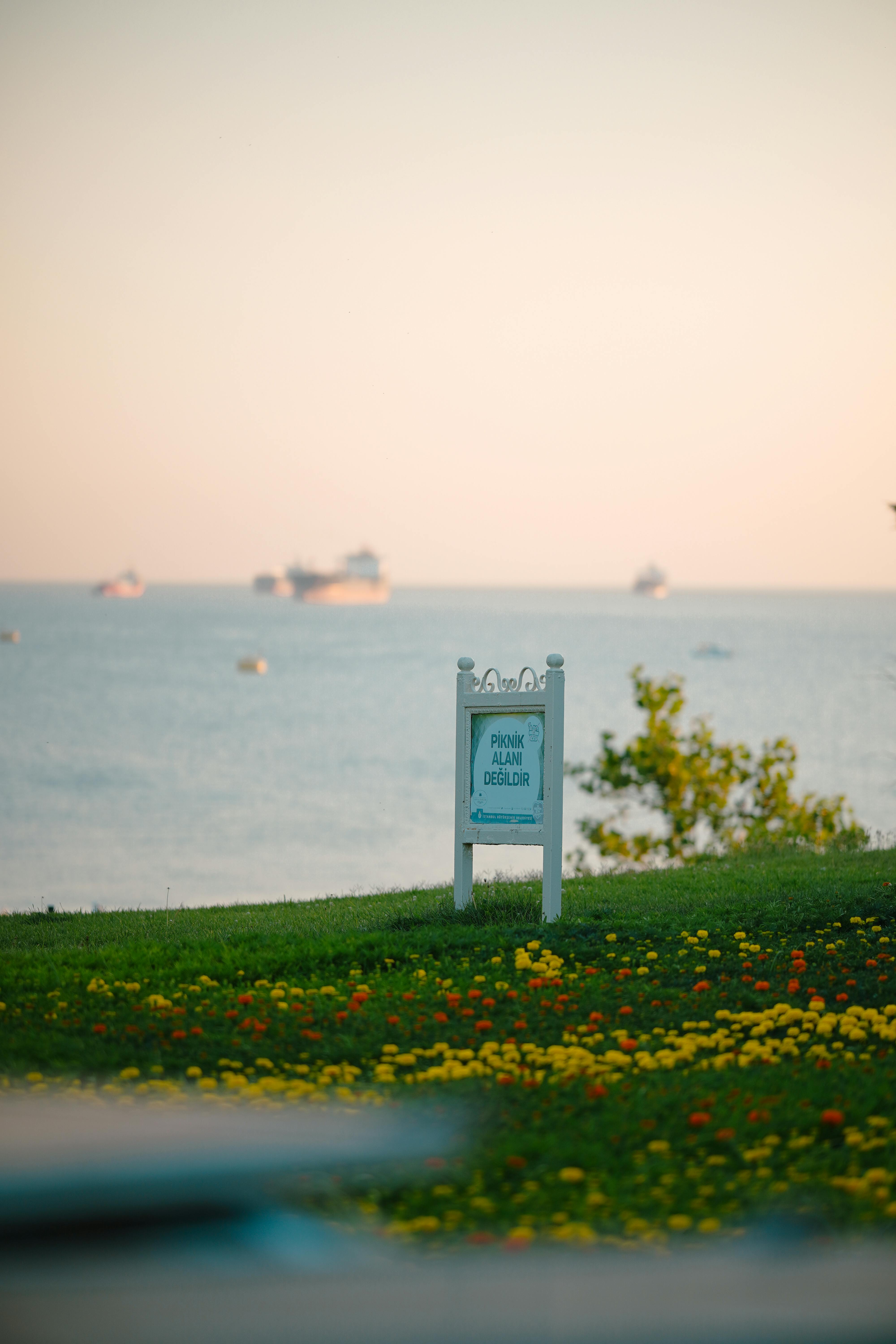 Beautiful People Photos, Download The BEST Free Beautiful People Stock ...